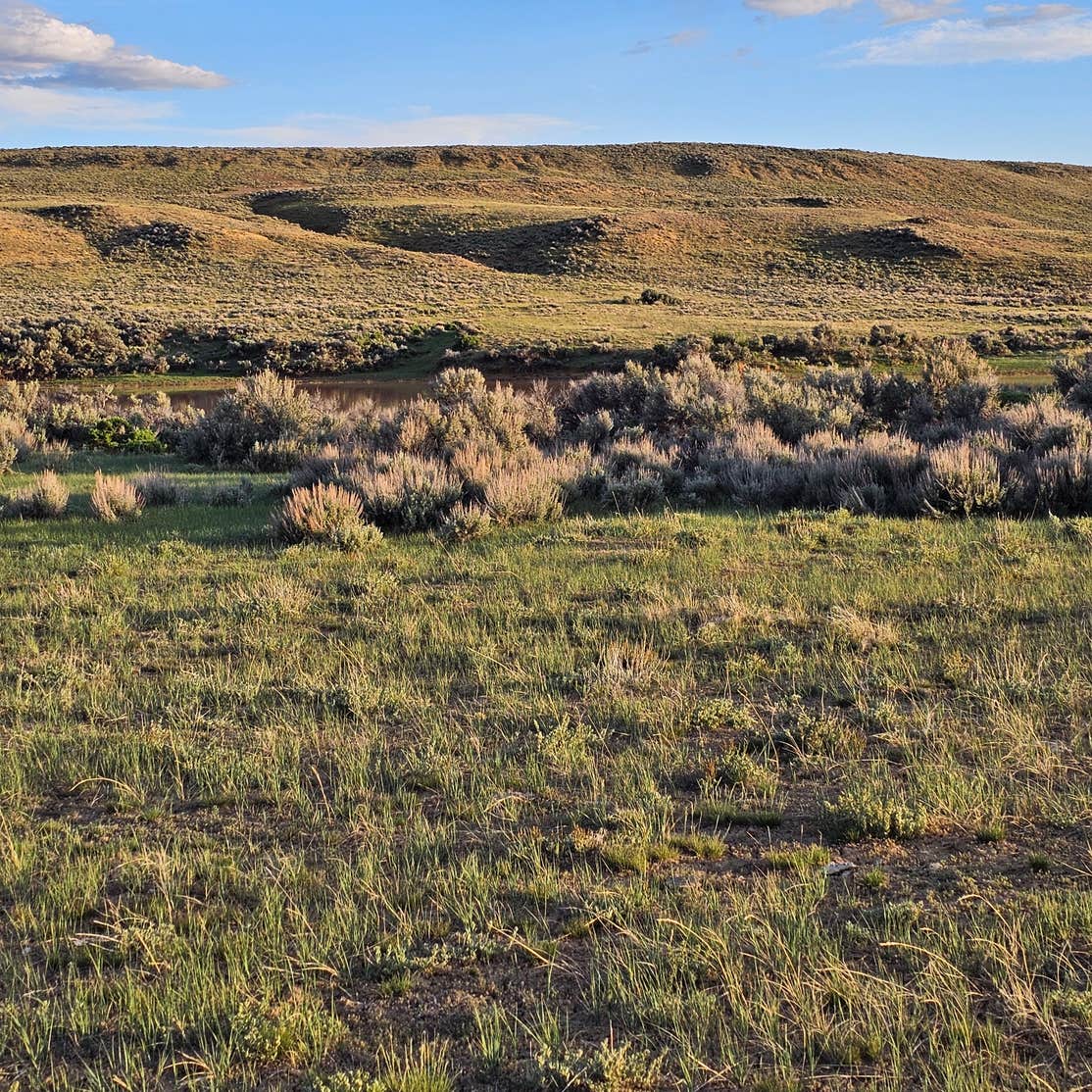 Robbers Gulch Road Camping | Slater, Colorado