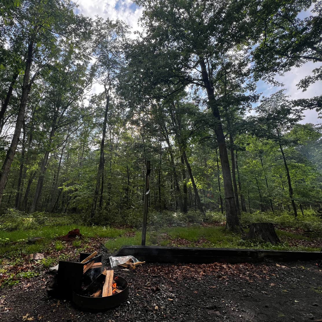 Rocky Gap State Park Campground | Flintstone, MD
