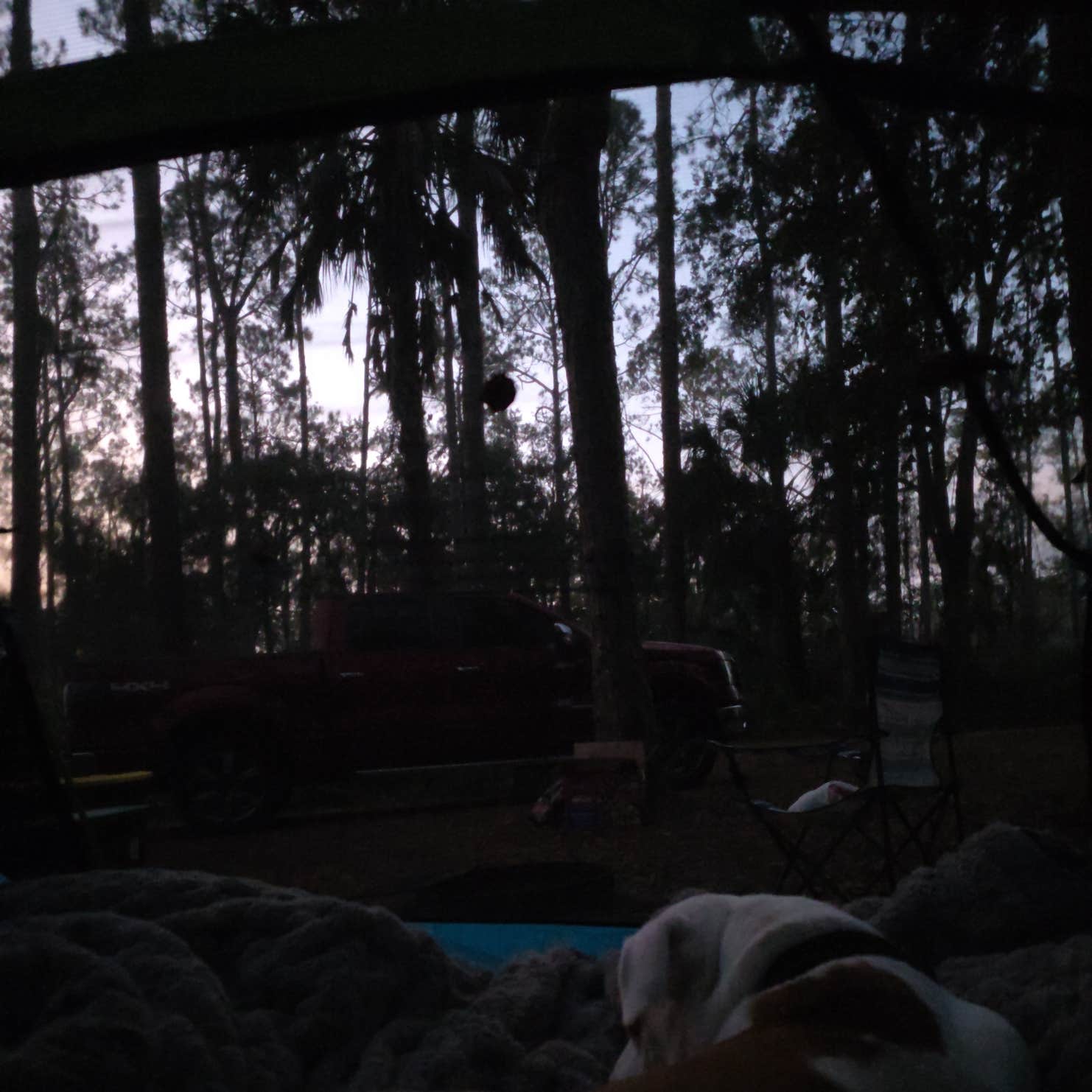 Rodman Campground | Welaka, Florida