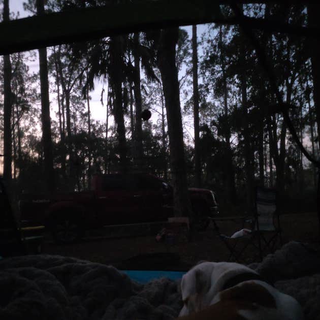 Rodman Campground | Welaka, Florida