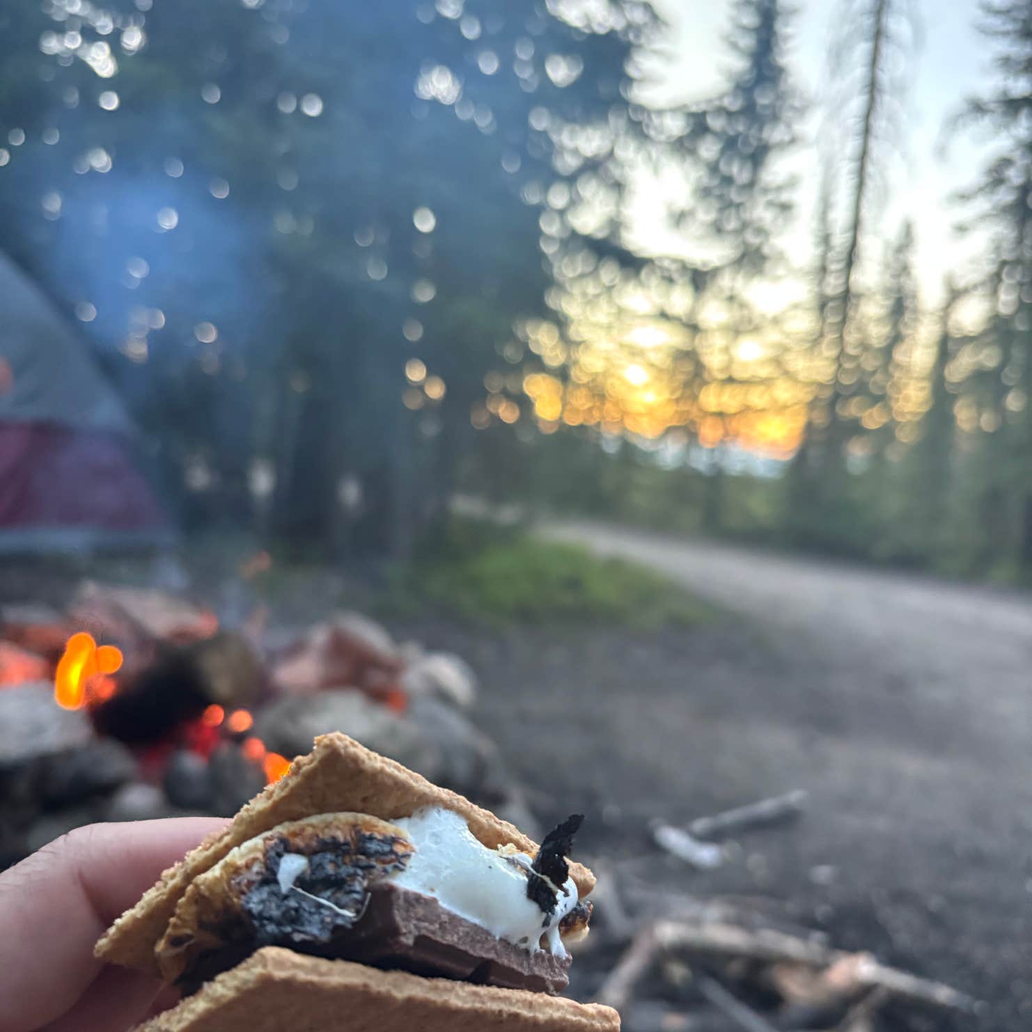 Rollins Pass Dispersed Camping | Fraser, Colorado