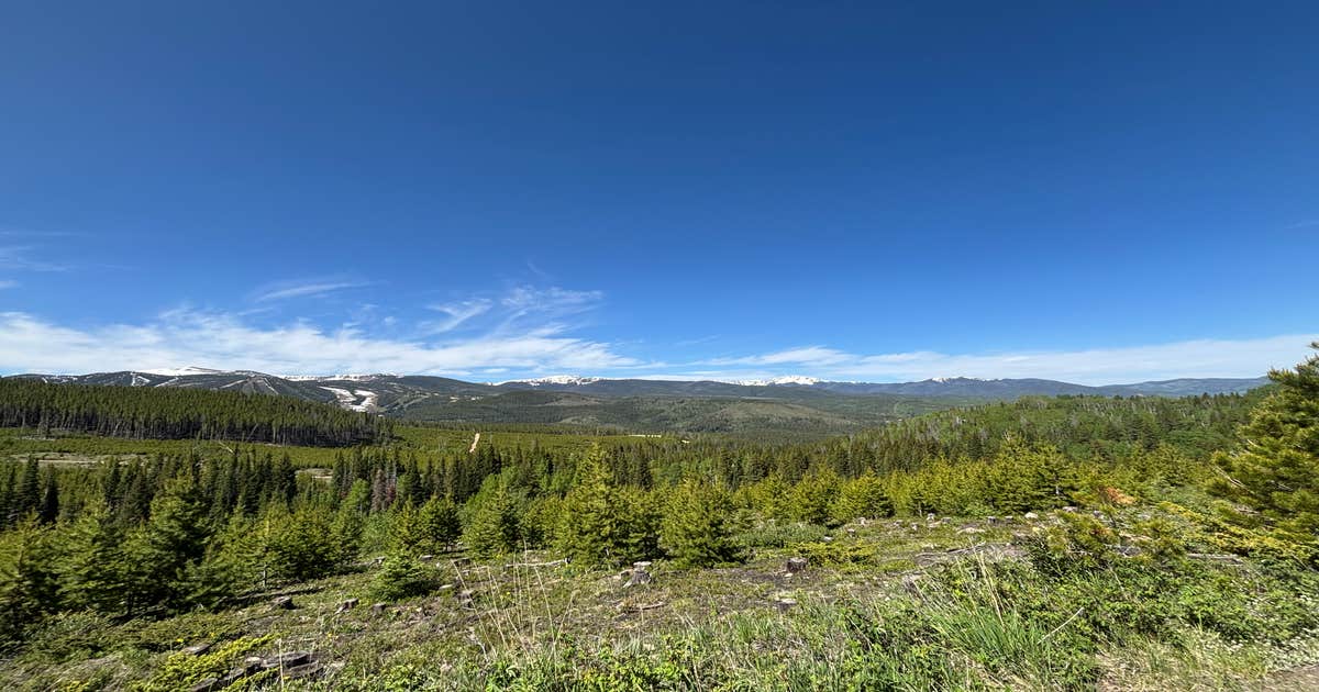 Camper-Submitted Photos of Rollins Pass Dispersed Camping
