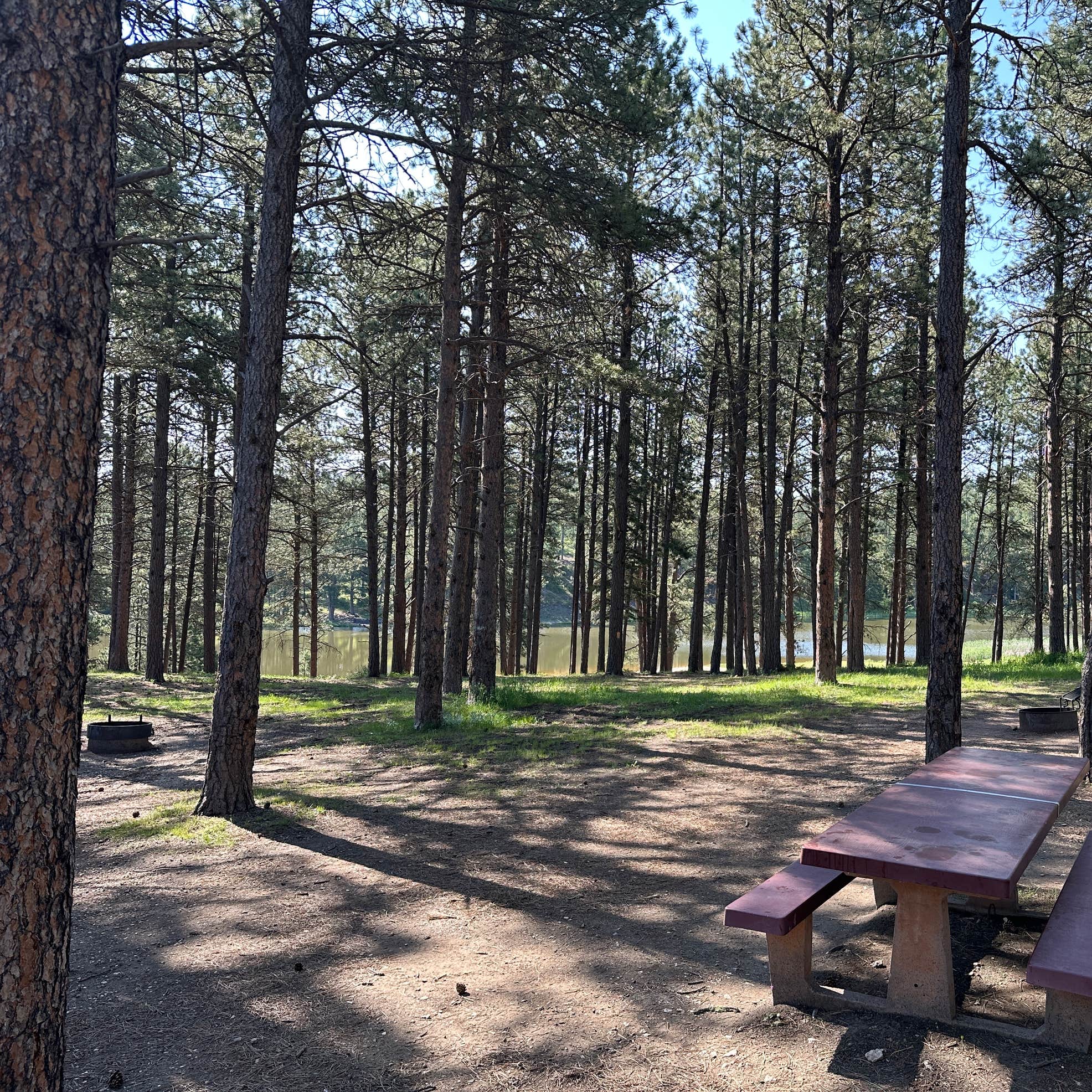 Roubaix Lake Camping | Nemo, South Dakota