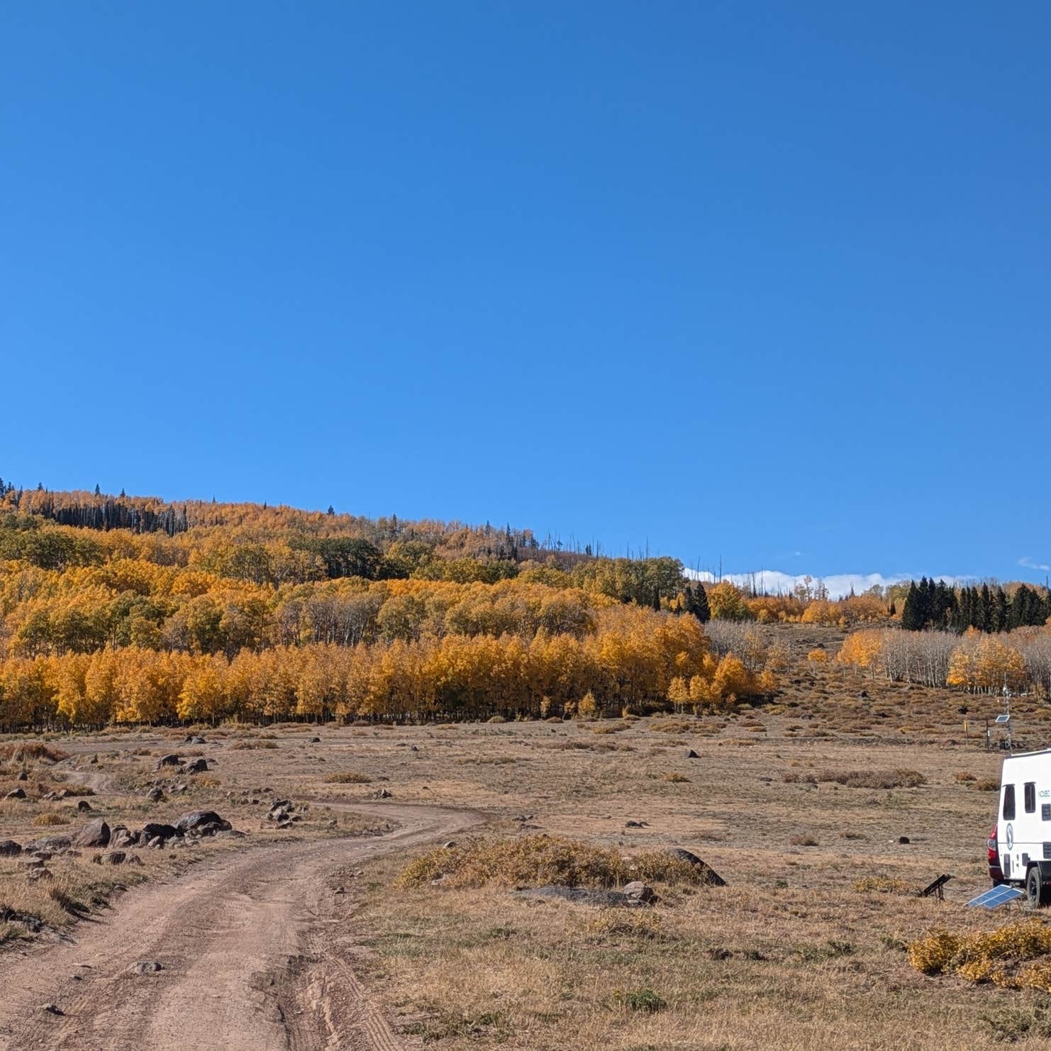 Boulder Mtn-Roundup Flat Dispersed Camping | Boulder, Utah