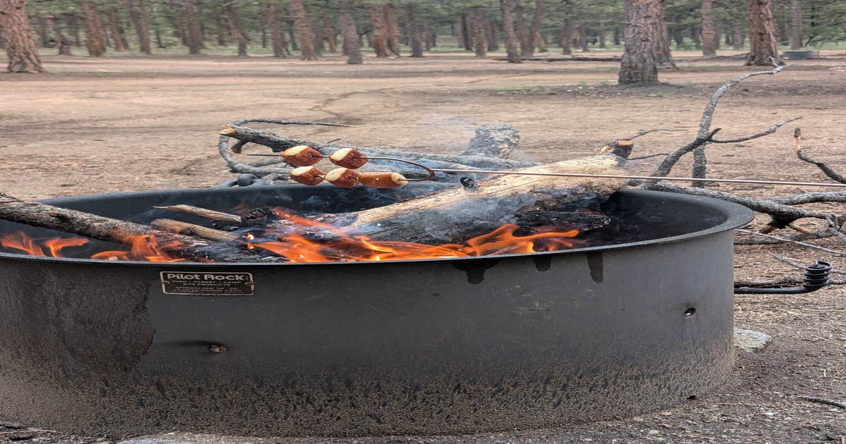 Route 31 Camp | Lake George, Colorado
