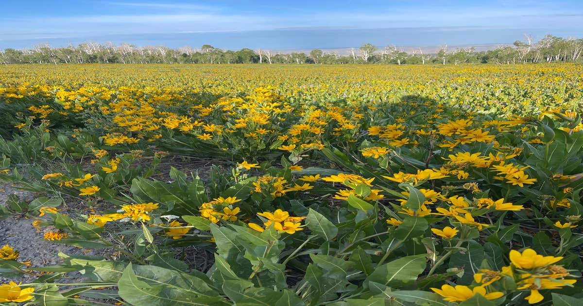 Routt NF Dispersed Camping | Slater, Colorado