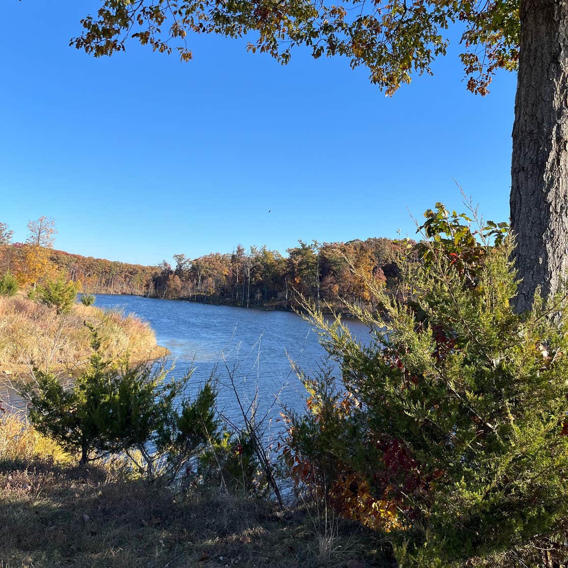 Rudolf Bennitt Conservation Area Camping | Higbee, Missouri