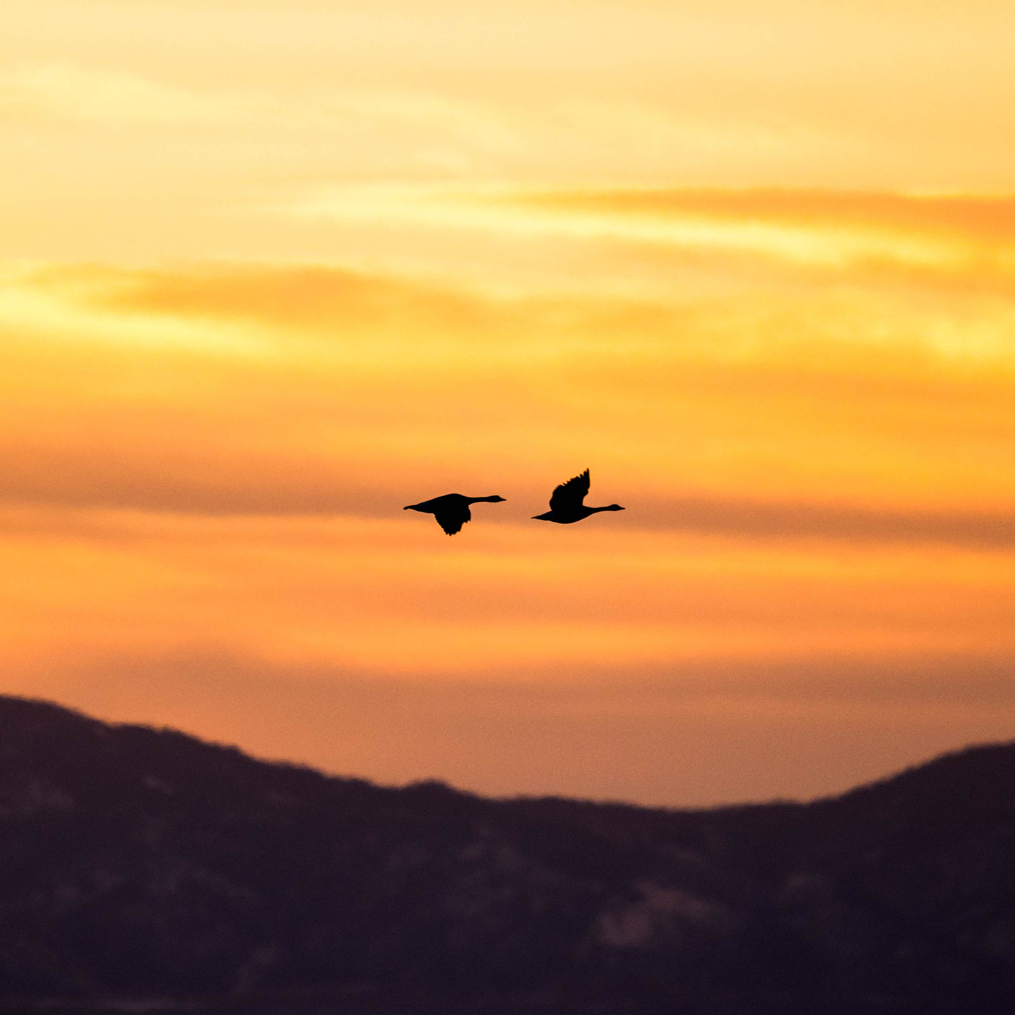 Russell Lake Wildlife Refuge Camping | Saguache, Colorado