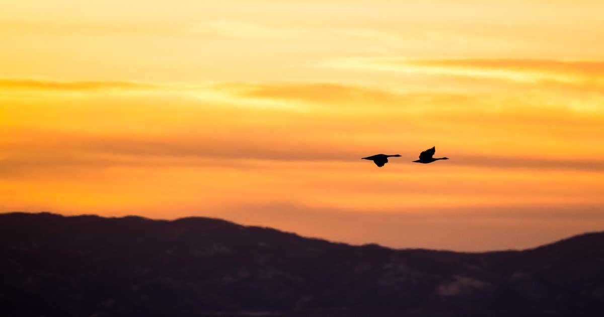 Russell Lake Wildlife Refuge Camping | Saguache, Colorado