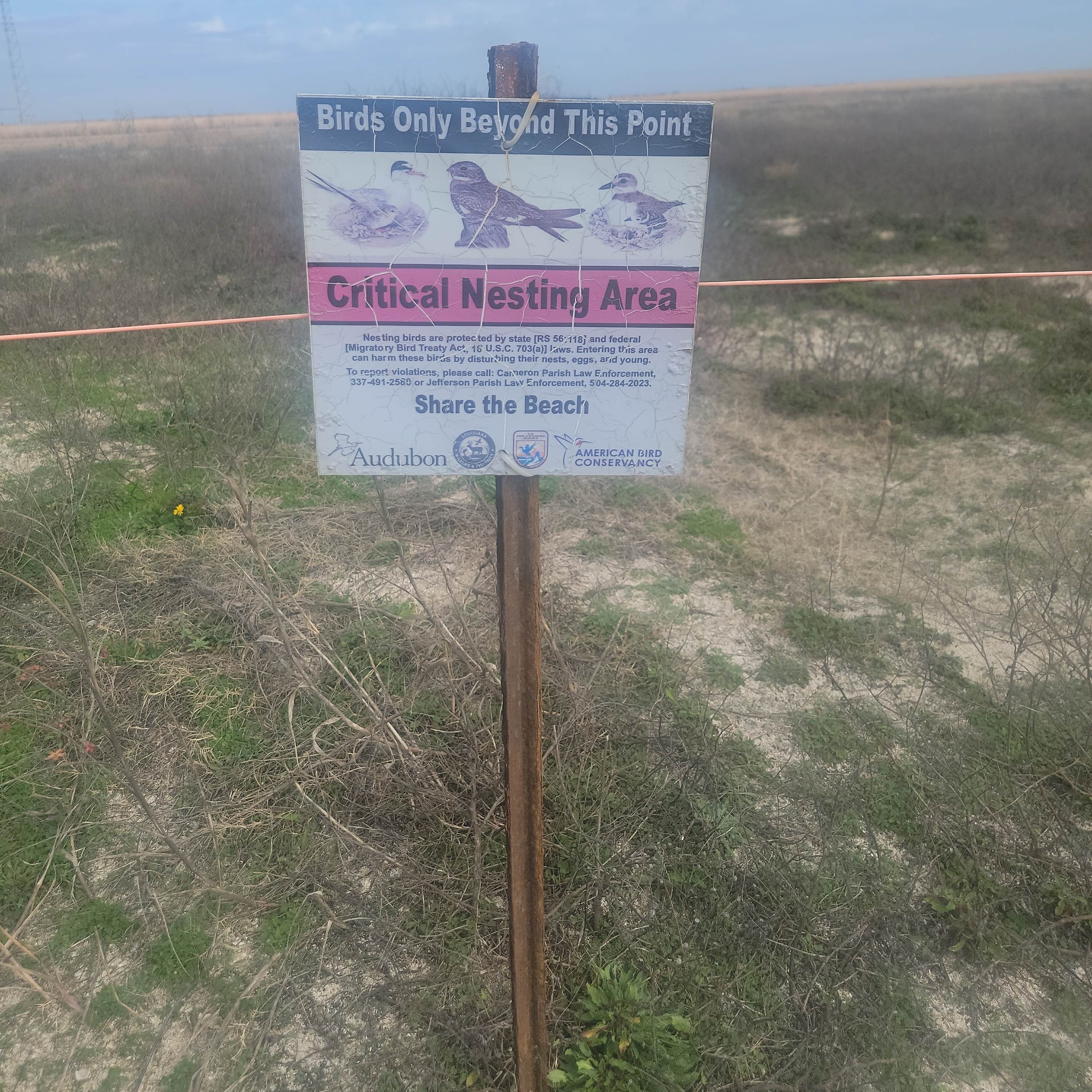 Rutherford Beach Dispersed Camping | Cameron, Louisiana