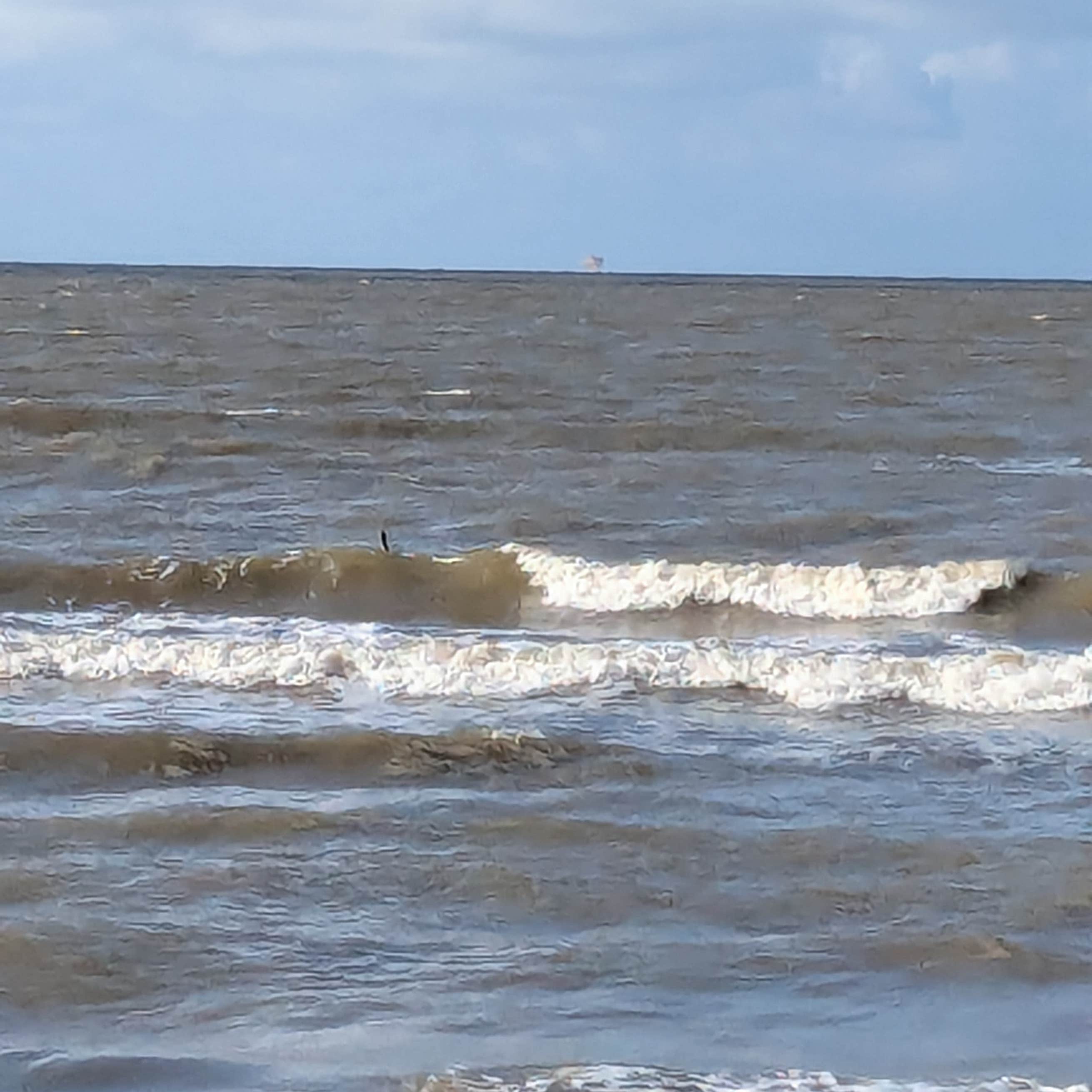 Rutherford Beach Dispersed Camping | Cameron, Louisiana