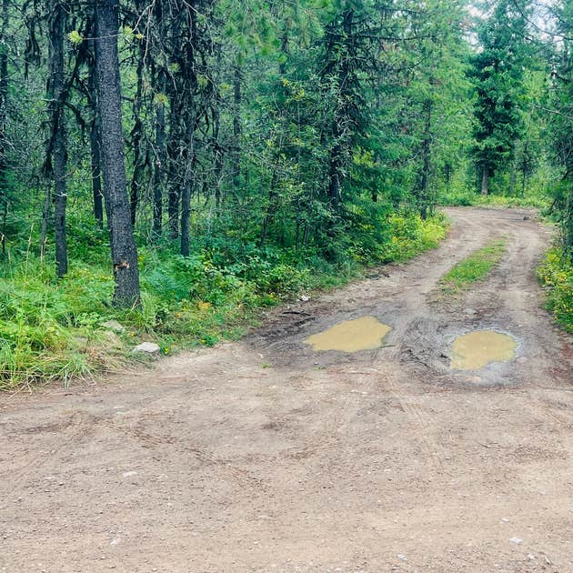 Ryan Road Dispered #2 Camping | West Glacier, Montana