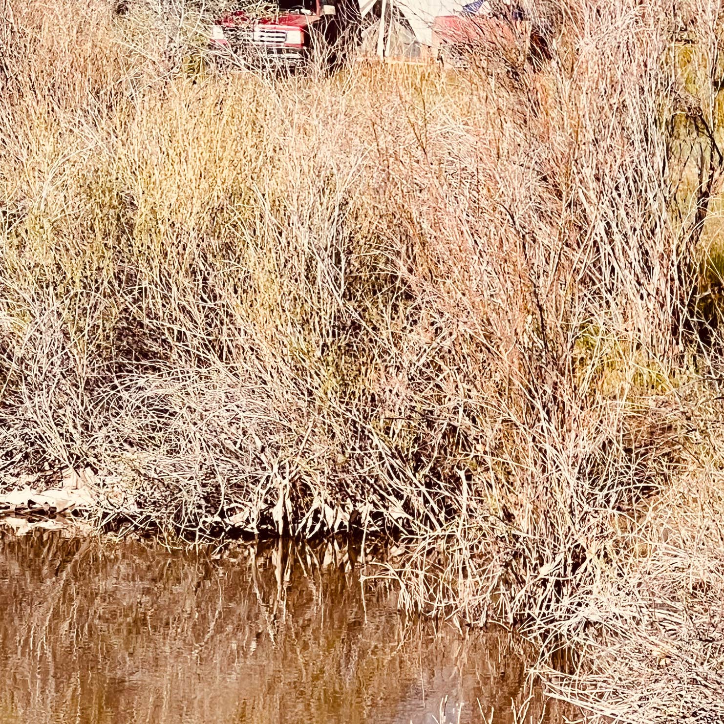 Rye Patch BLM Nevada Camping | Winnemucca, NV