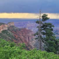 Saddle Canyon Outlook North Rim Dispersed Camping | North Rim, Arizona
