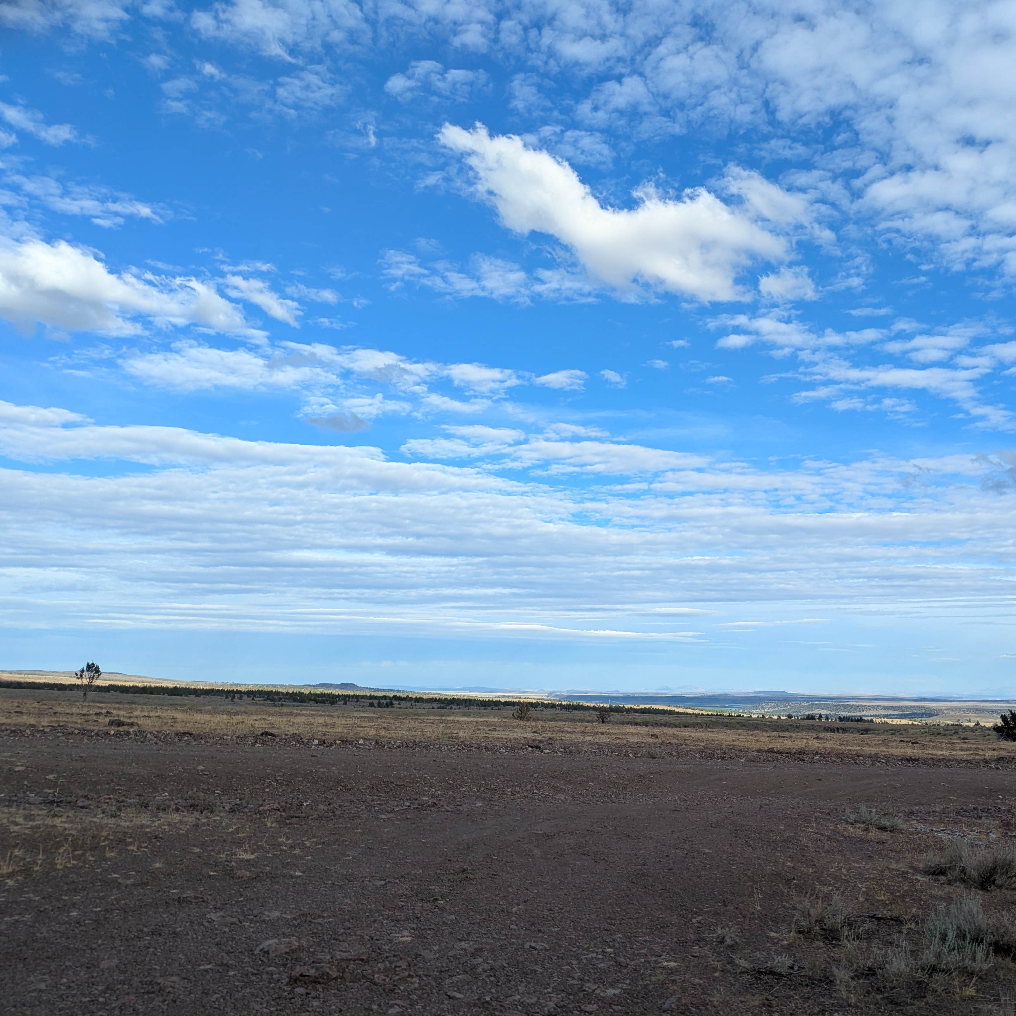 Sagehen Hill Road Camping | Hines, Oregon