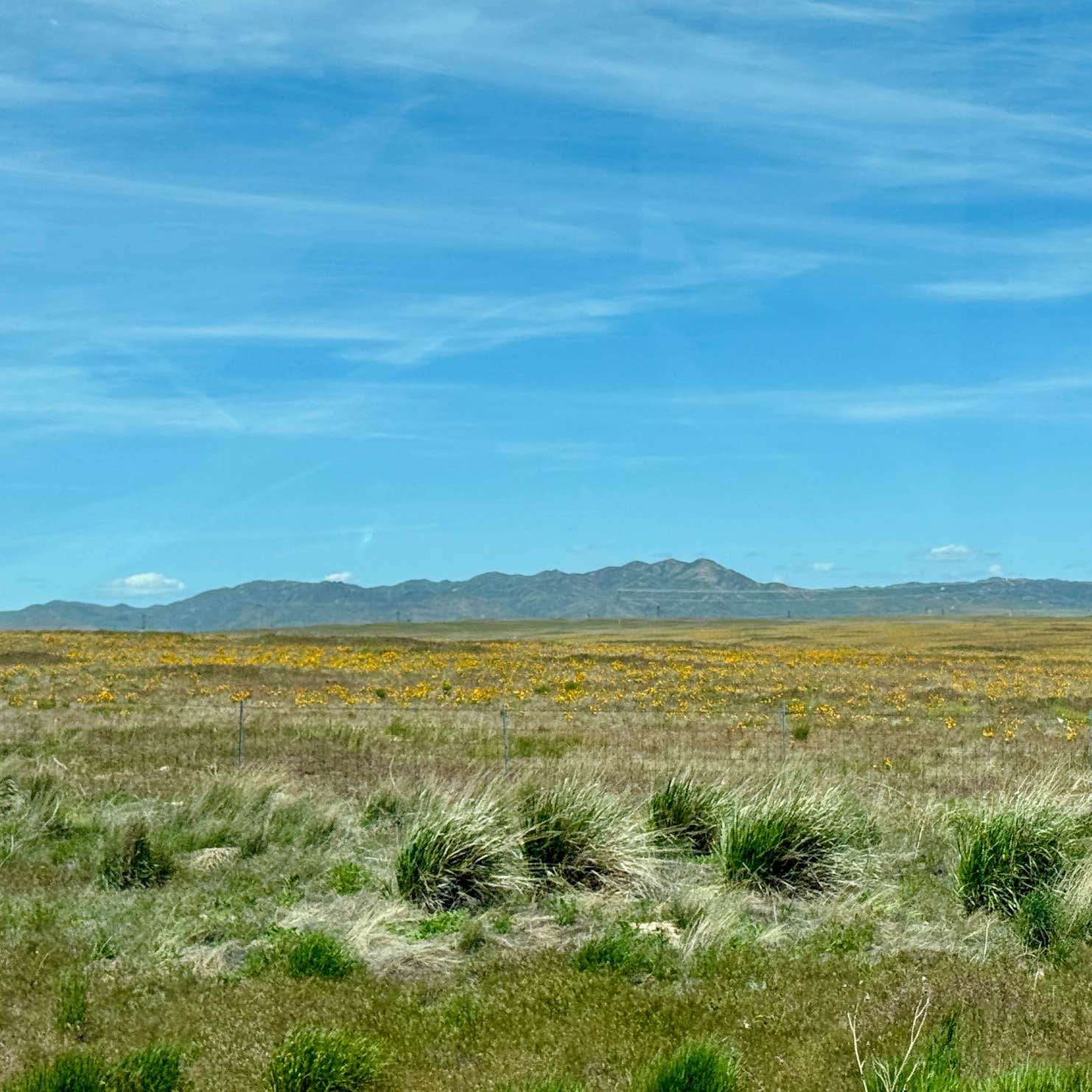 Sagehen Hill Road Camping | Hines, Oregon