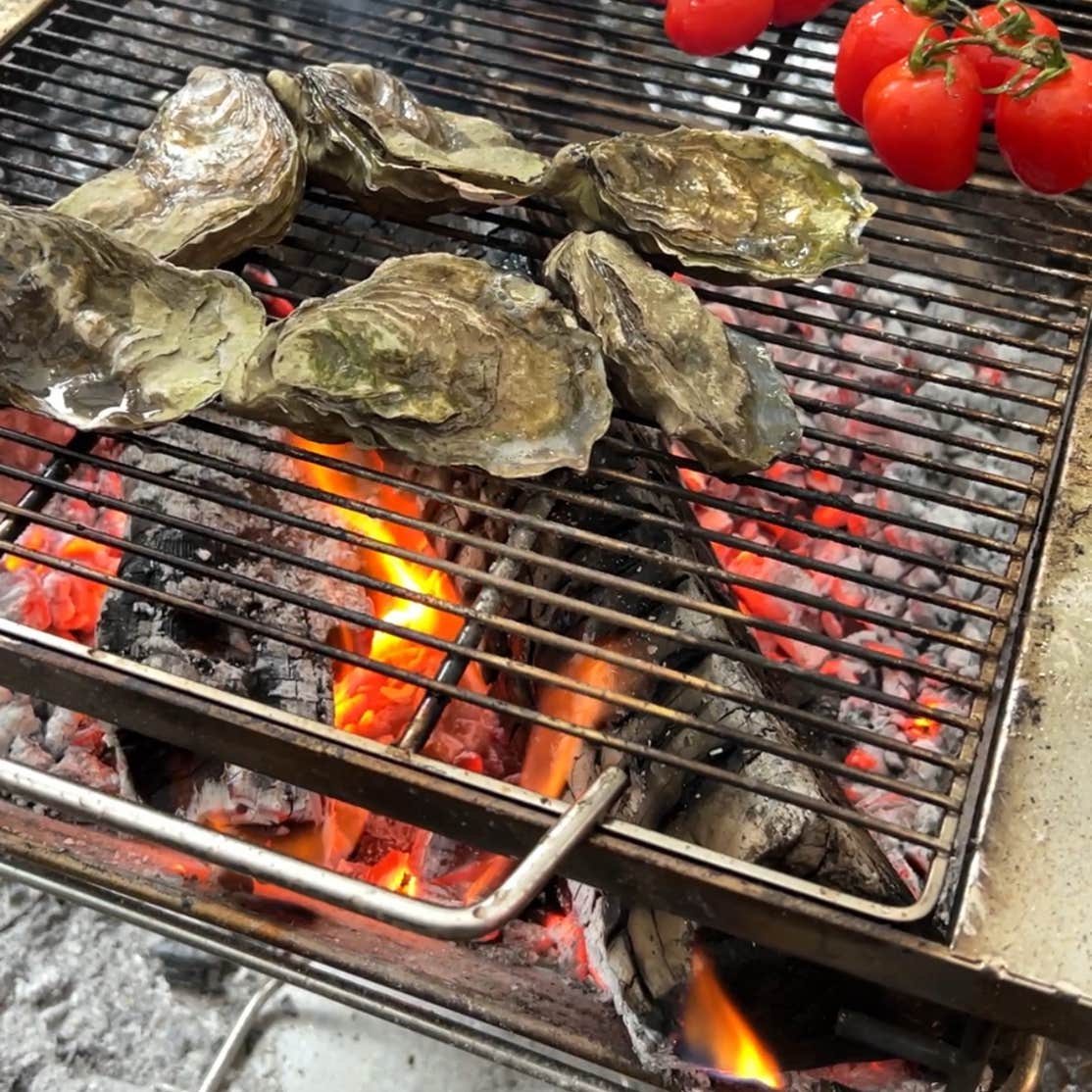 Samuel P. Taylor State Park Campground | Lagunitas, California