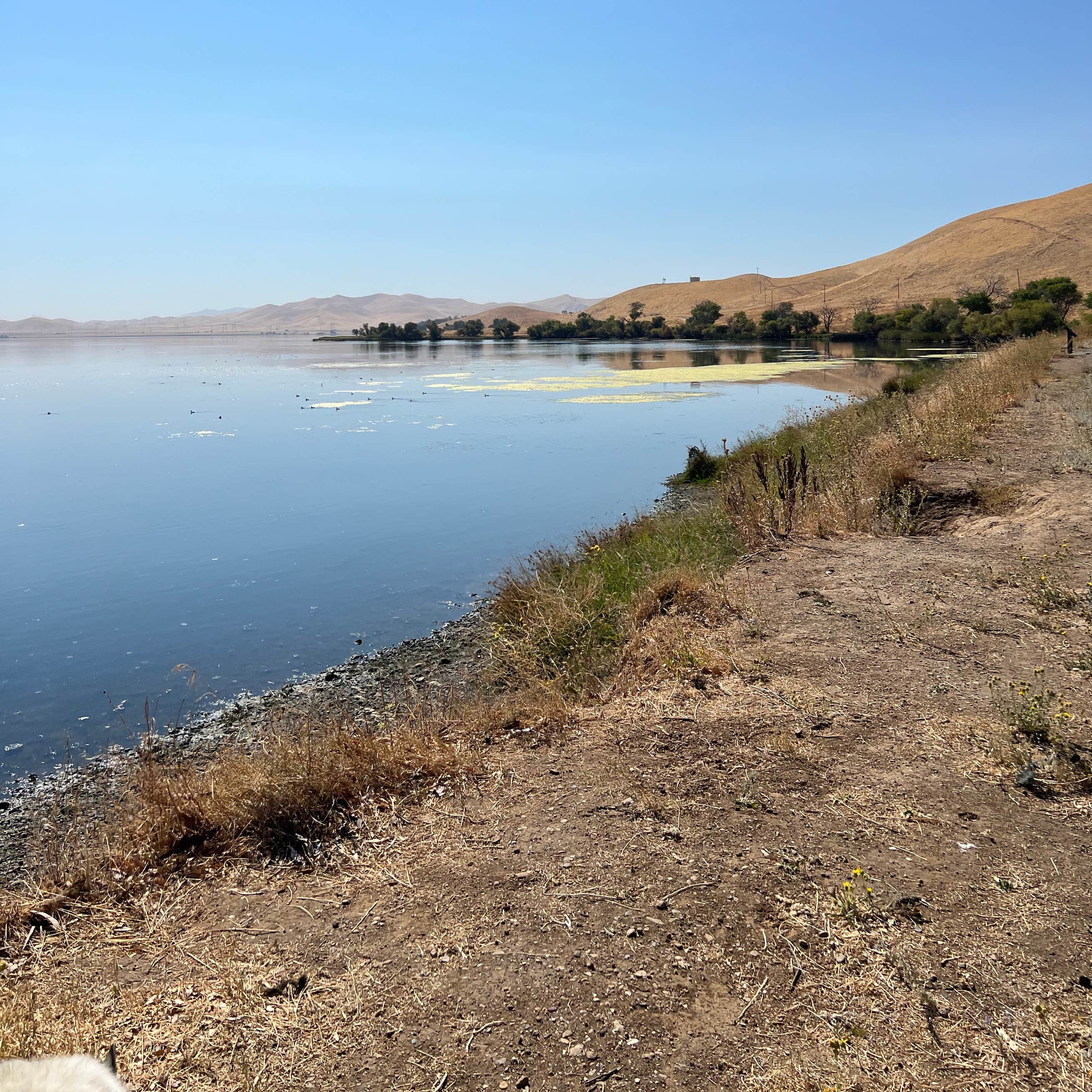 San Luis Creek Campground — San Luis Reservoir State Recreation Area