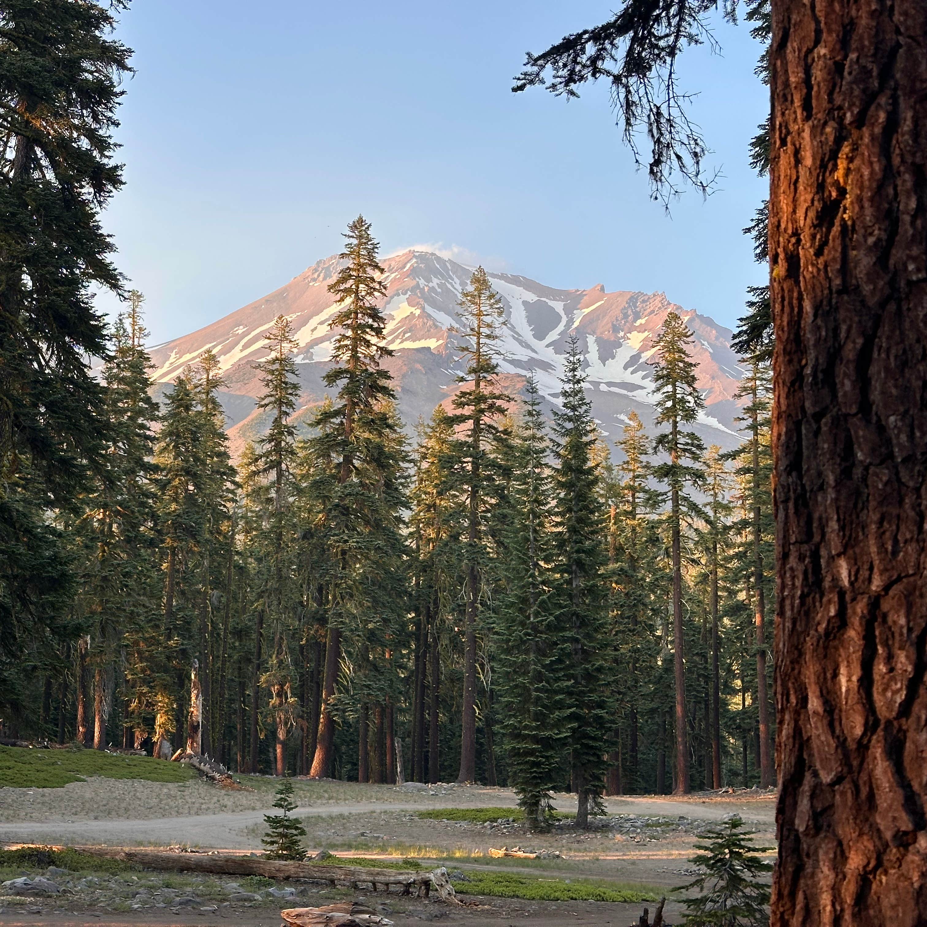 Sand Flat Wild Camping | Mount Shasta, California