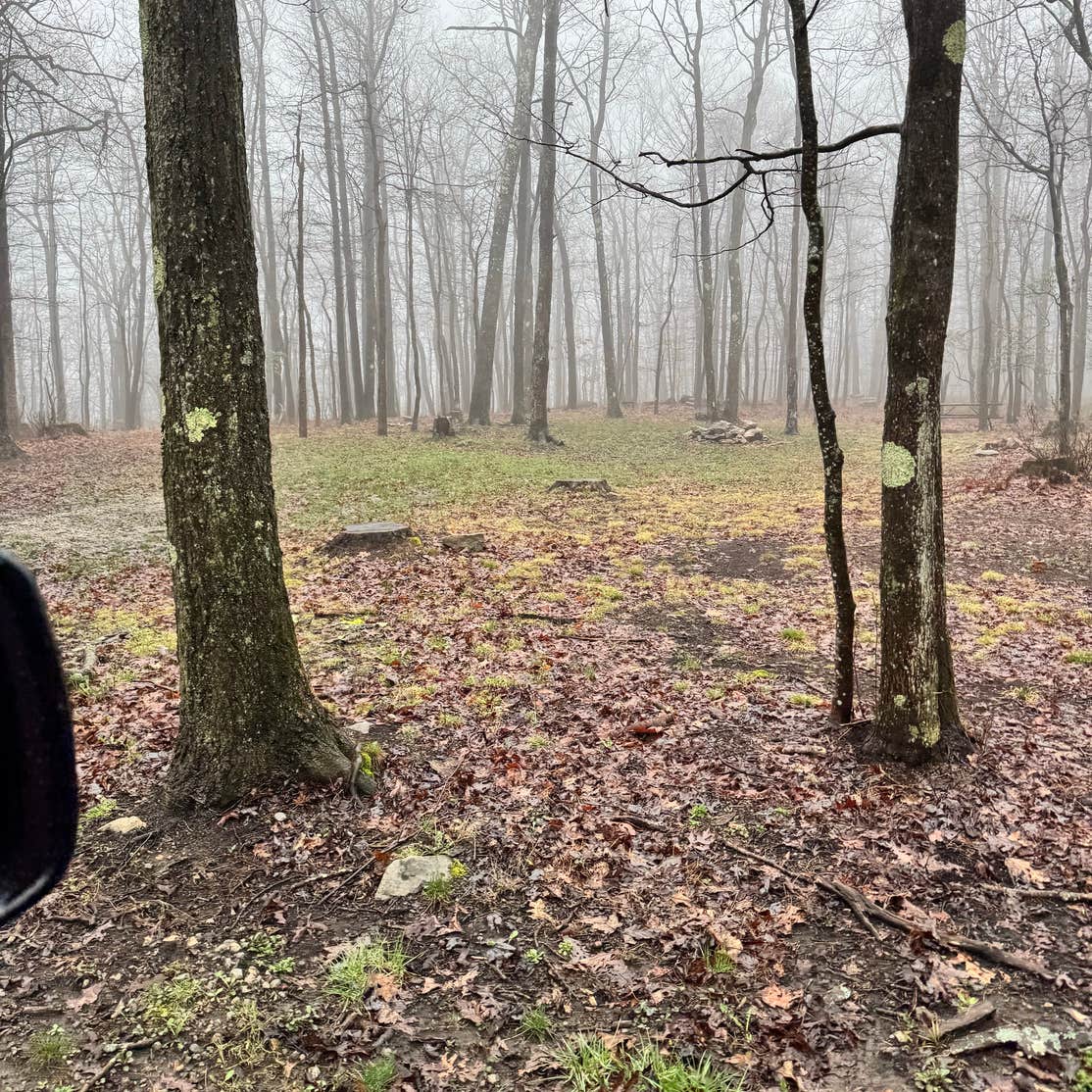 Sand Springs Campground | Bruceton Mills, West Virginia