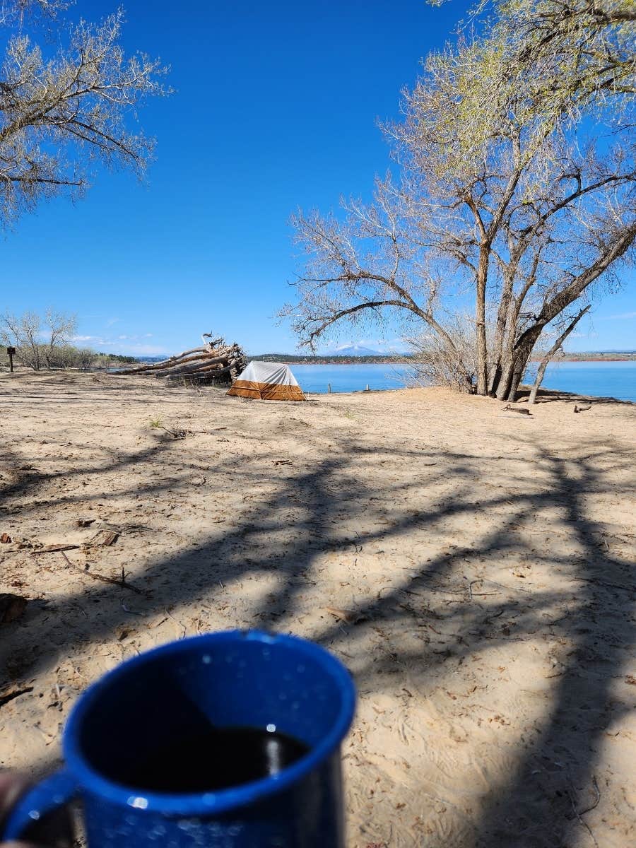 Sandy Beach Dune and Willow — Glendo State Park Camping | Glendo, Wyoming