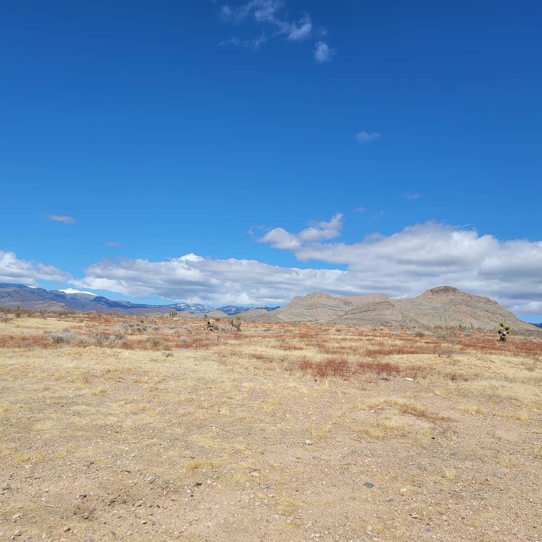 Sandy Valley Road Camping | Blue Diamond, Nevada