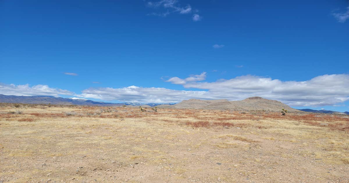 Sandy Valley Road Camping | Blue Diamond, Nevada