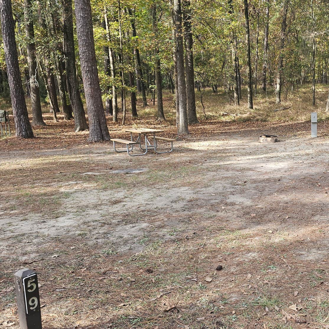 Cypress View Campground — Santee State Park | Elloree, South Carolina