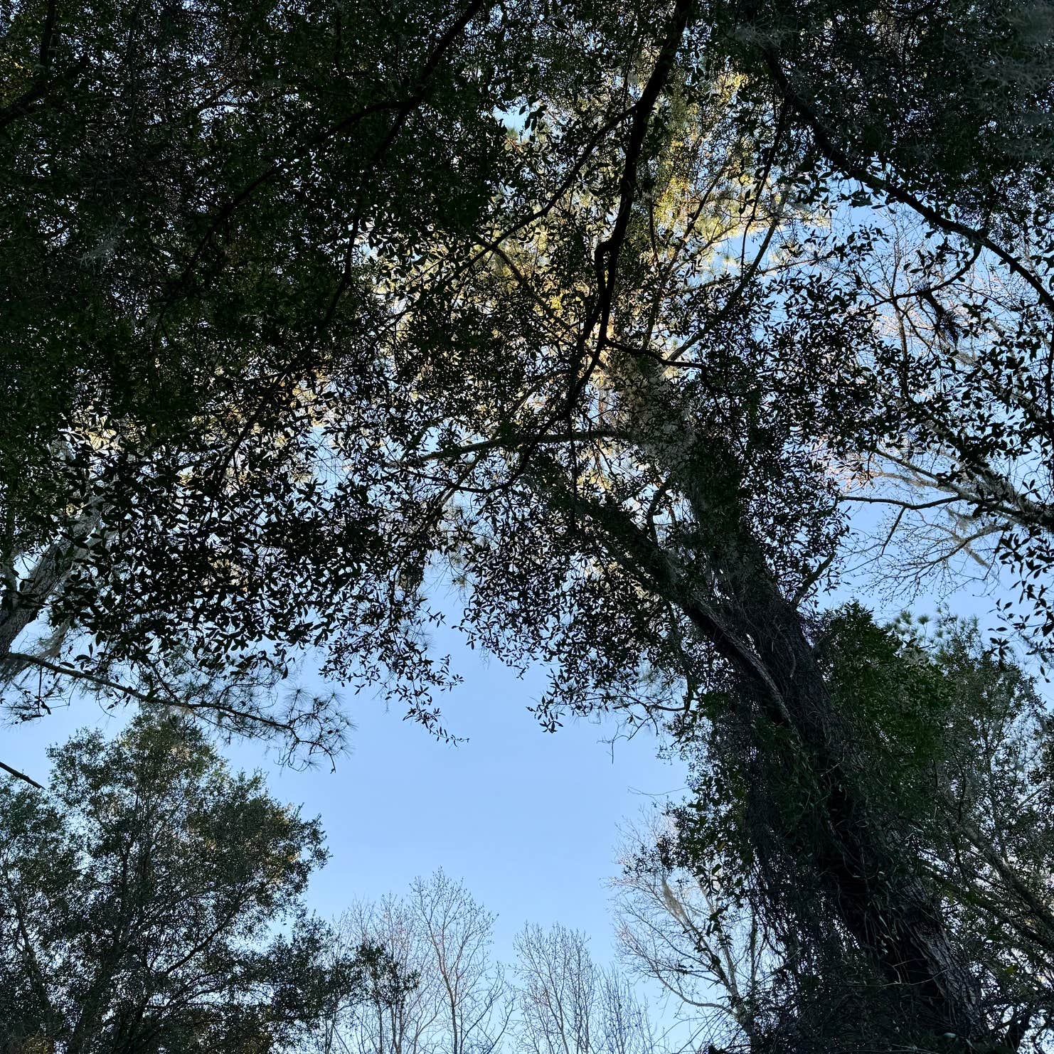 Santos Trailhead & Campground | Ocala, FL