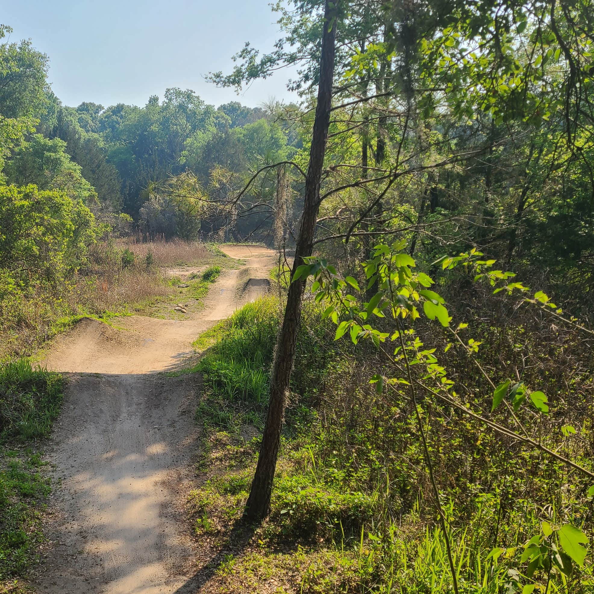 Santos Trailhead & Campground | Ocala, FL