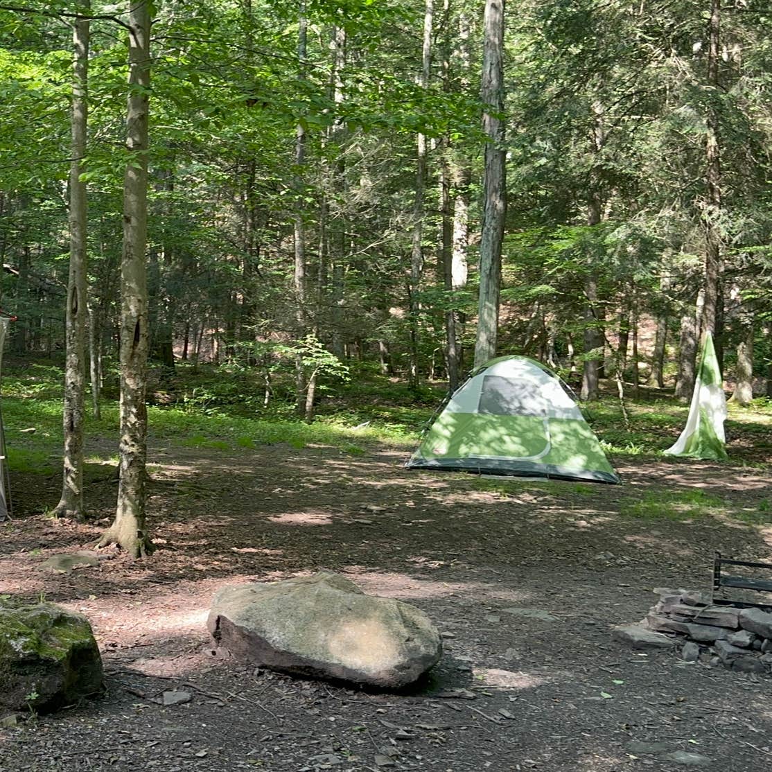 Savage River State Forest Camping | Grantsville, Maryland