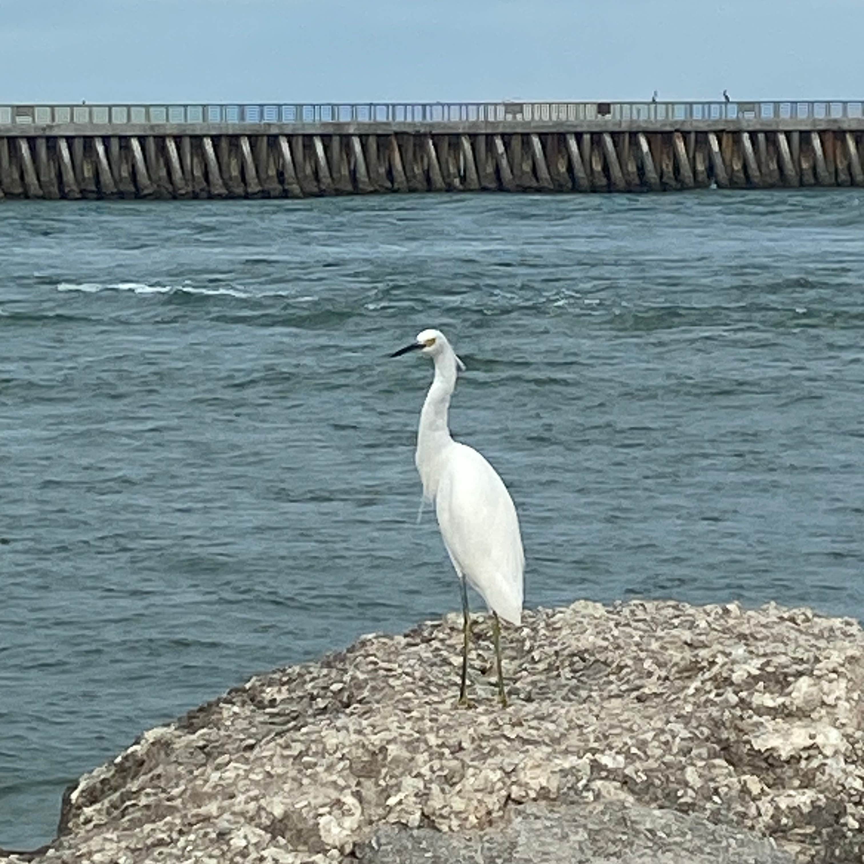 Sebastian Inlet State Park Campground | Sebastian, Florida