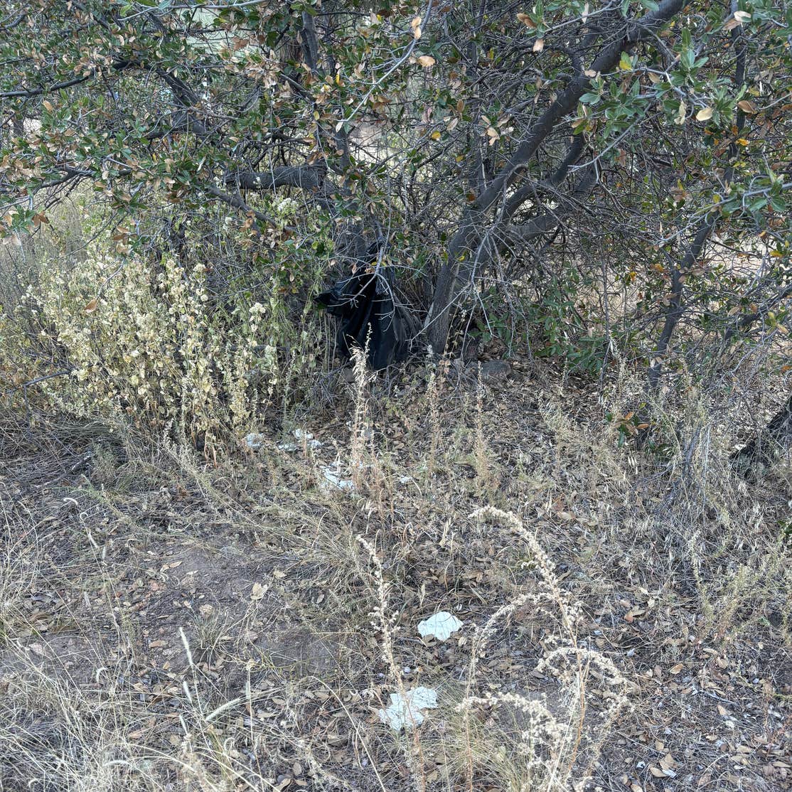 Senetor Highway Dispersed spot 5 Camping | Prescott, Arizona
