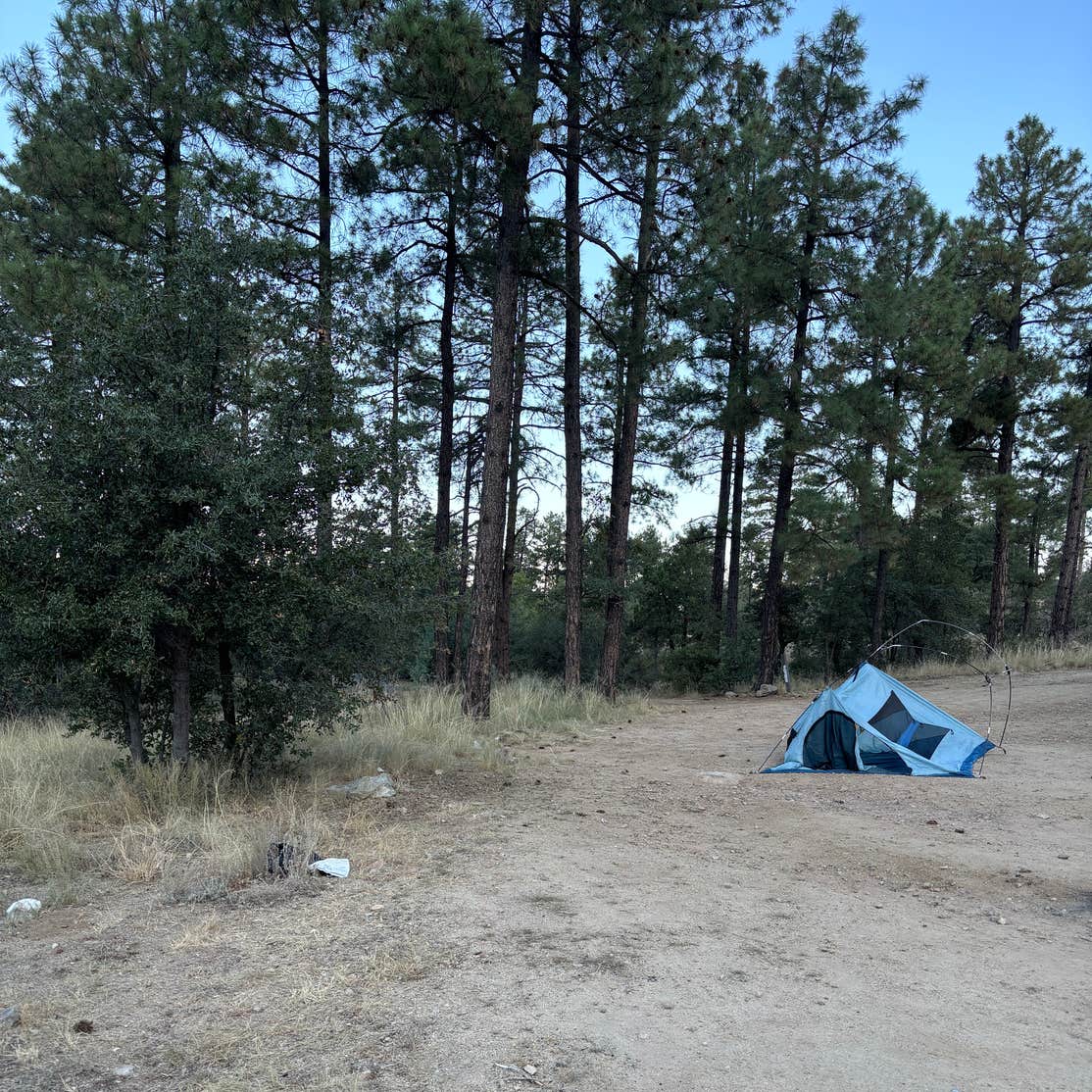 Senetor Highway Dispersed spot 5 Camping | Prescott, Arizona