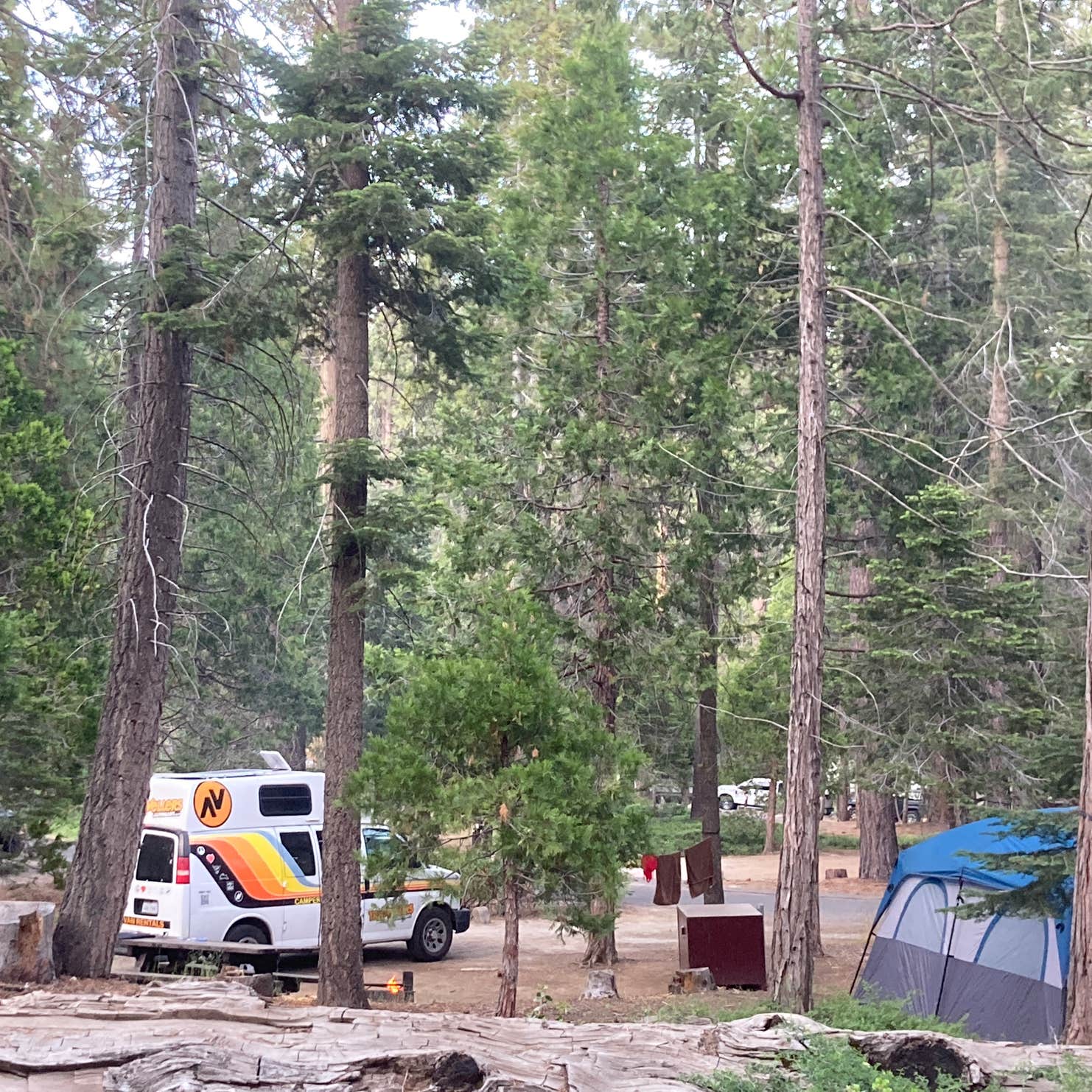 Sequoia National Forest Princess Campground | Hume, California