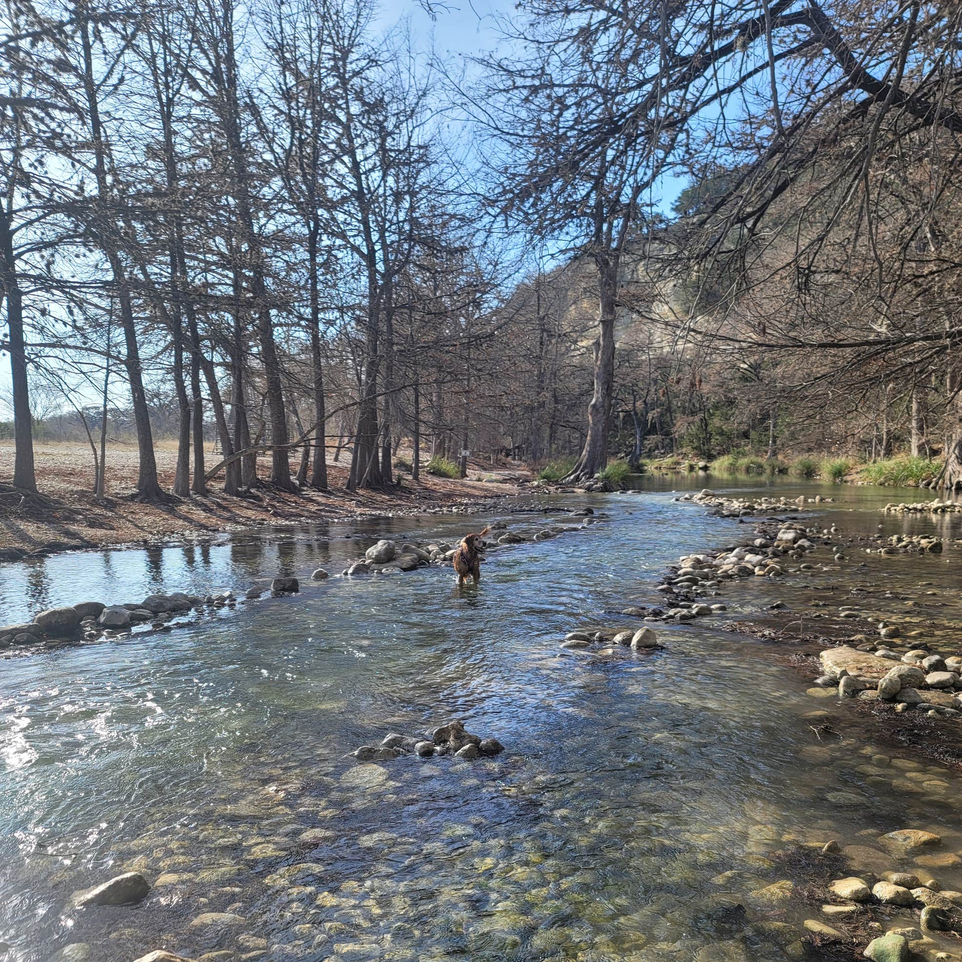 Seven Bluff Cabins & RV Park | Concan, Texas