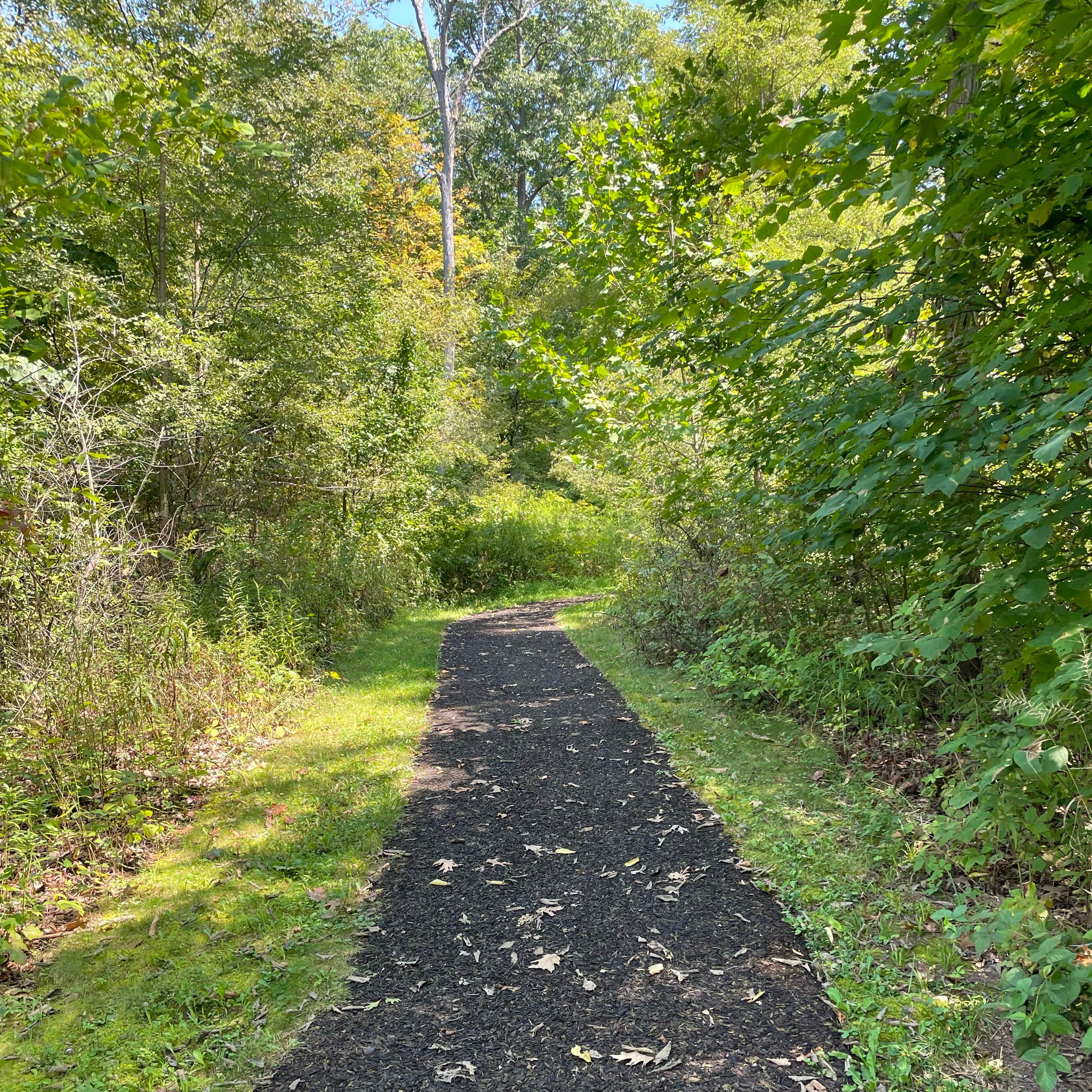 Seven Points (PA) Camping | Hesston, Pennsylvania