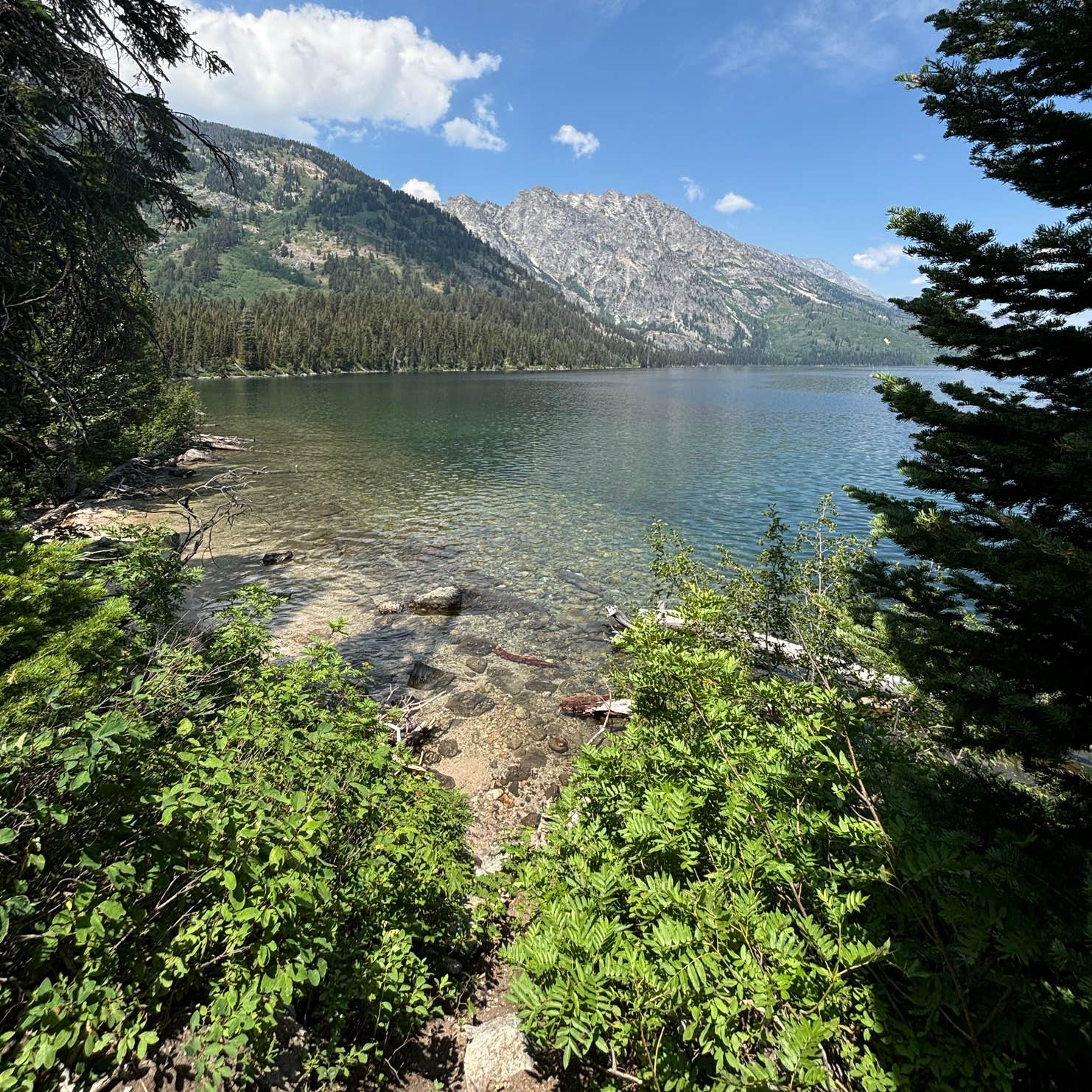 Shadow Mountain Campground | Kelly, WY