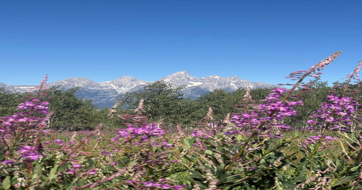 Shadow Mountain Camping | Kelly, Wyoming