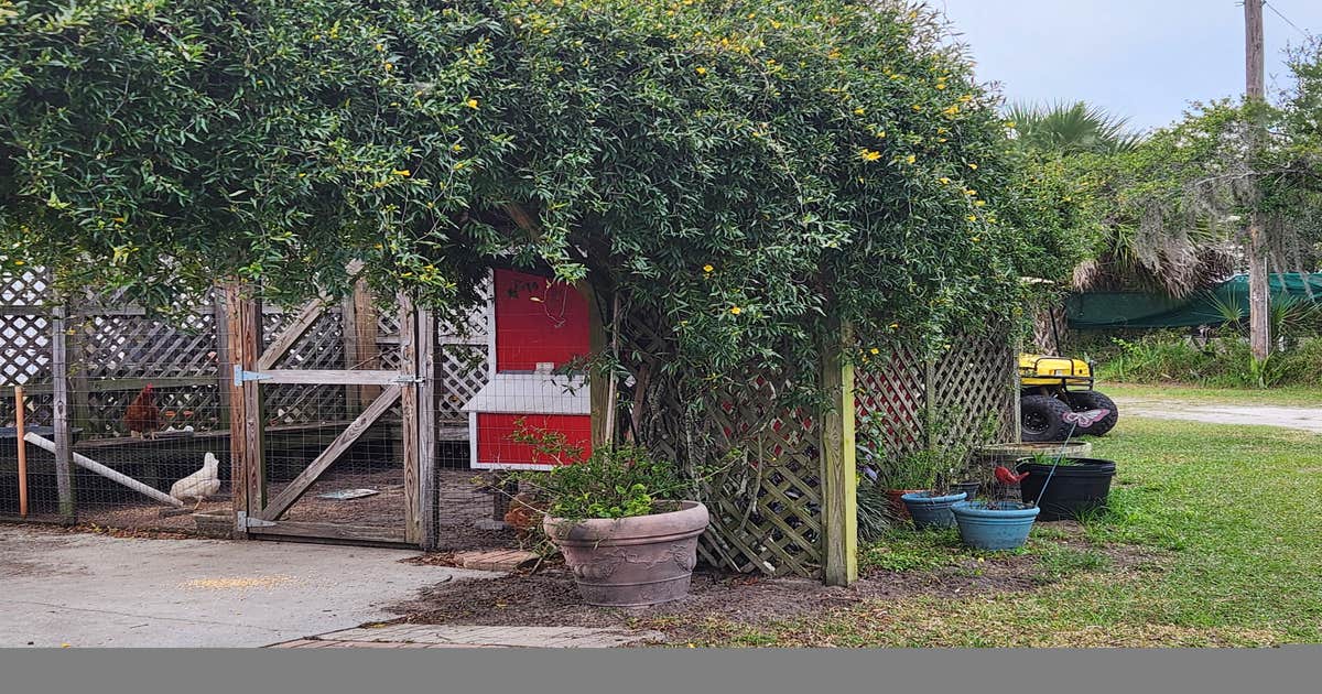 Shady Lawn Camping | Davenport, Florida