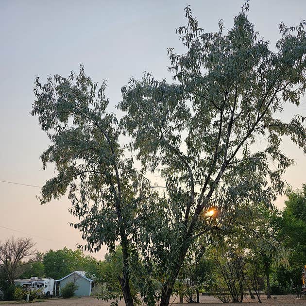Shady Rest RV Park | Glasgow, MT