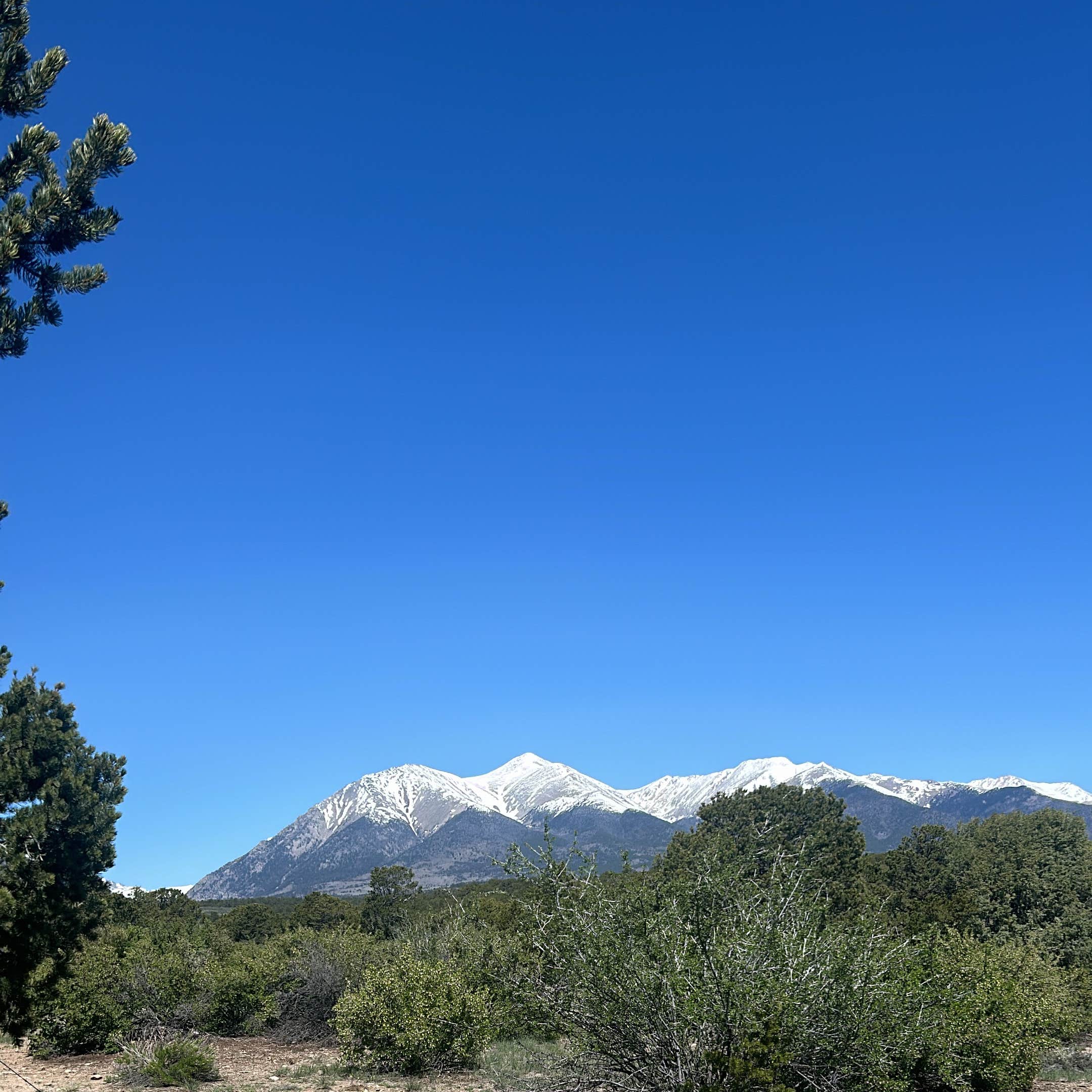 Shavano Mountain Camping | Poncha Springs, CO