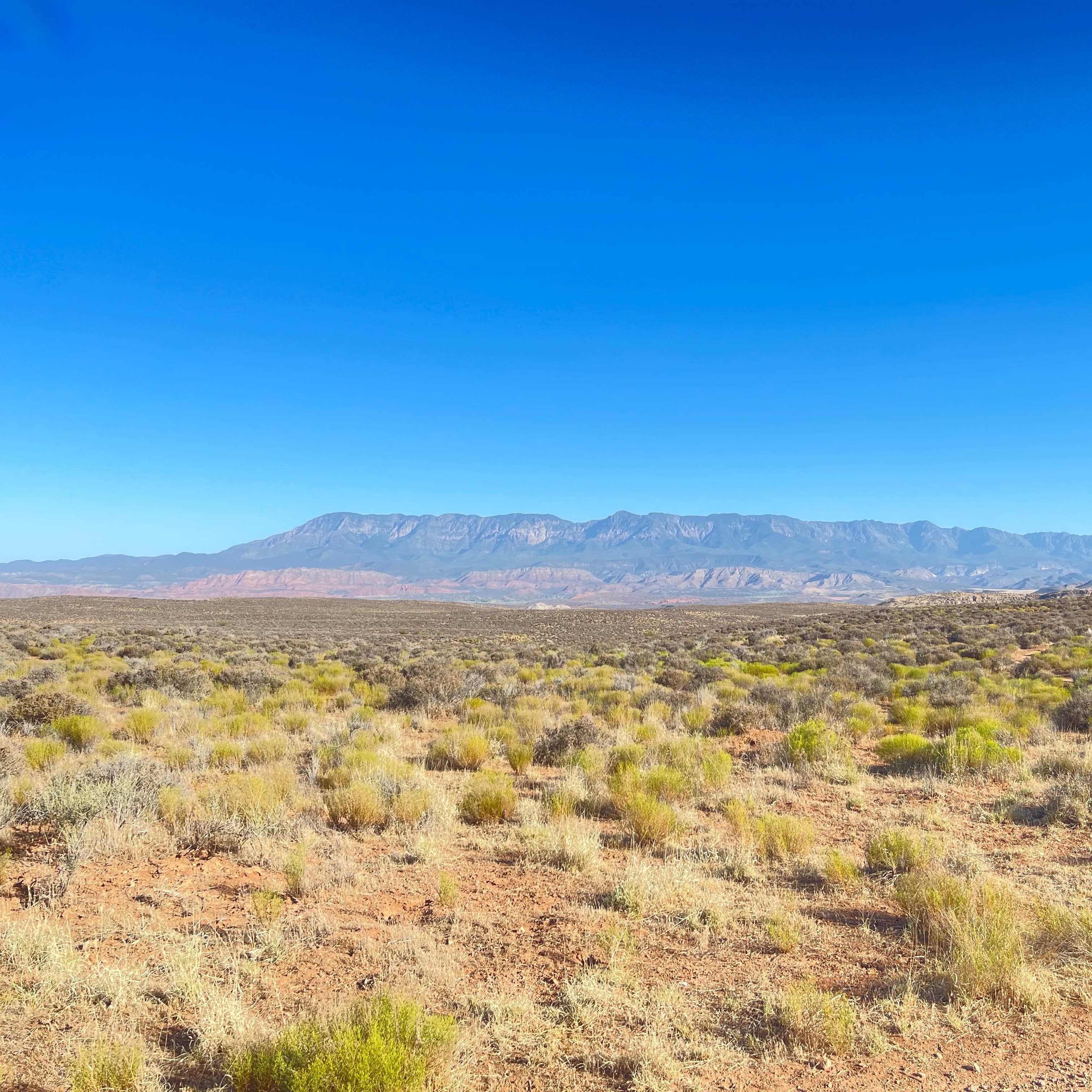 Sheep Bridge BLM Area (Hurricane Cliffs Trail System) - Utah Camping ...