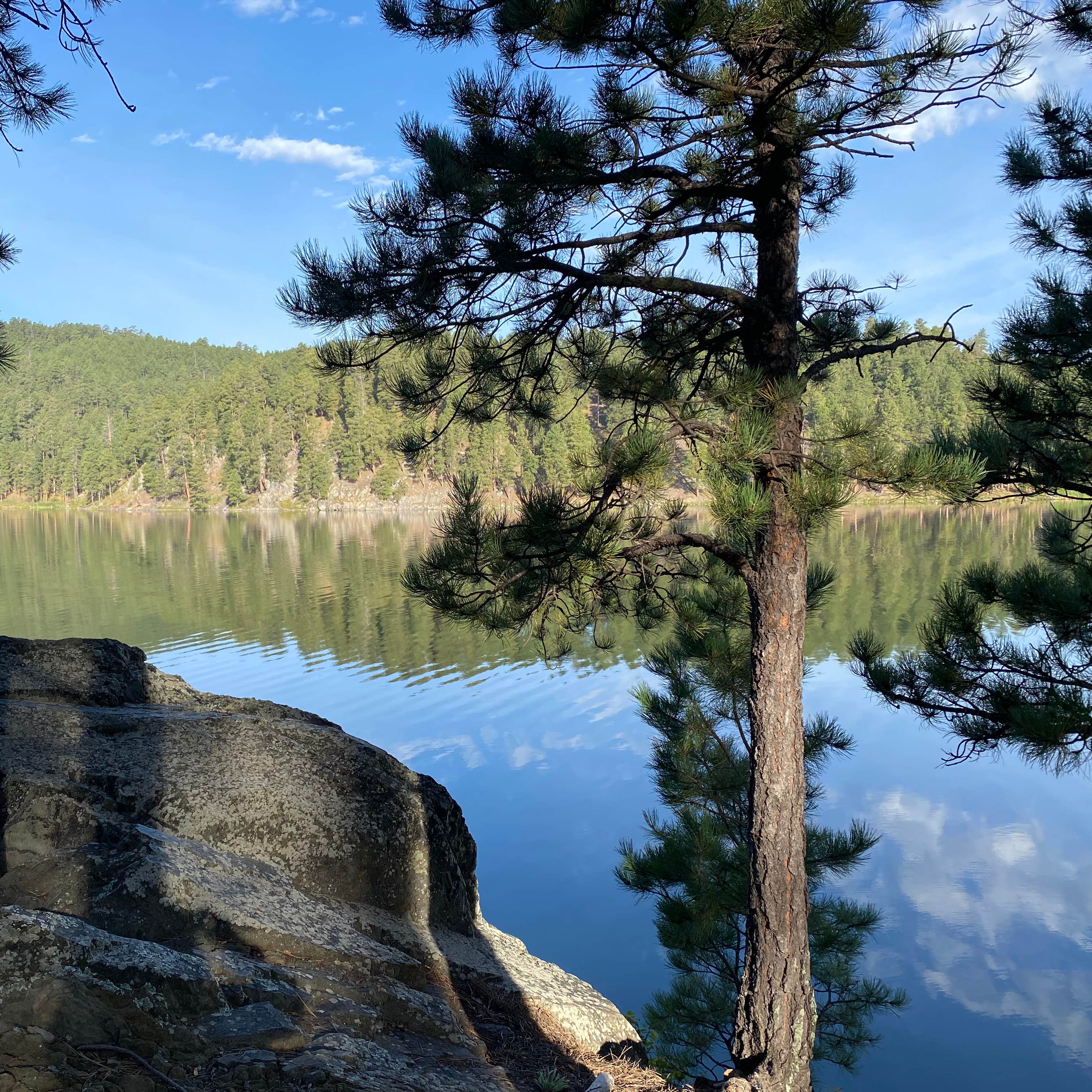 Sheridan Lake South Shore Campground | Hill City, South Dakota