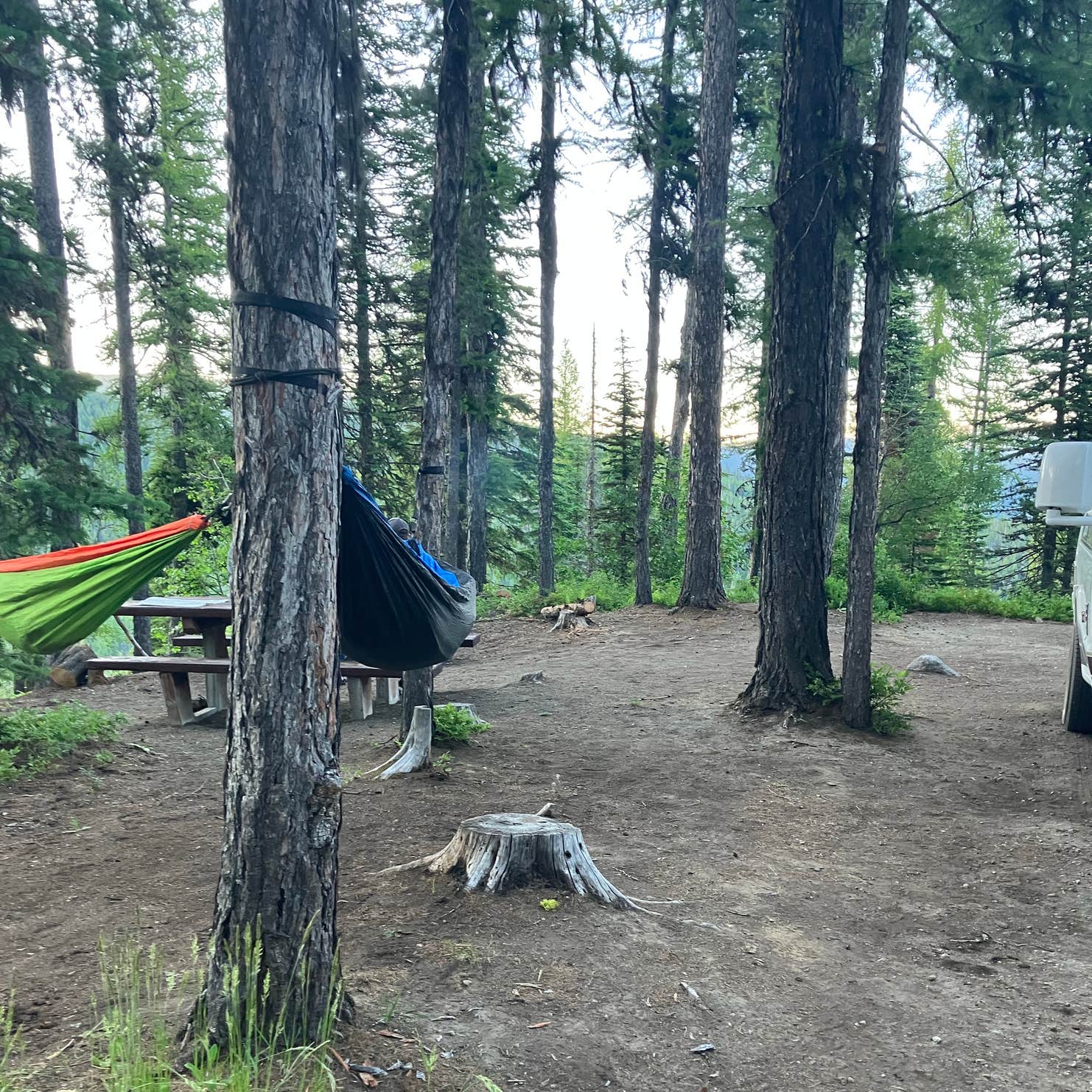 Sherman Pass Overlook Campground | Republic, Washington