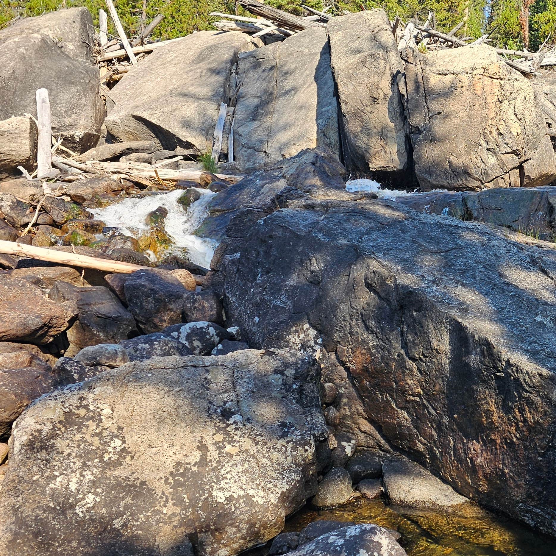 Shoshone National Forest Crazy Creek Campground | Cooke City, Montana