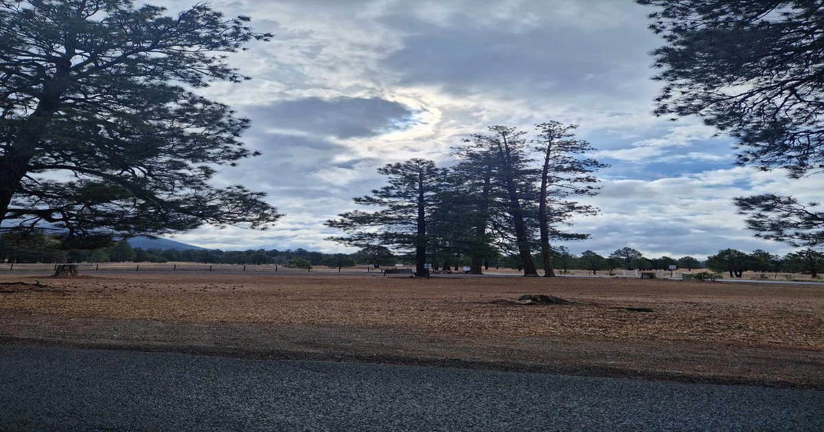 Shultz Creek Trailhead Dispersed Camping | Flagstaff, AZ