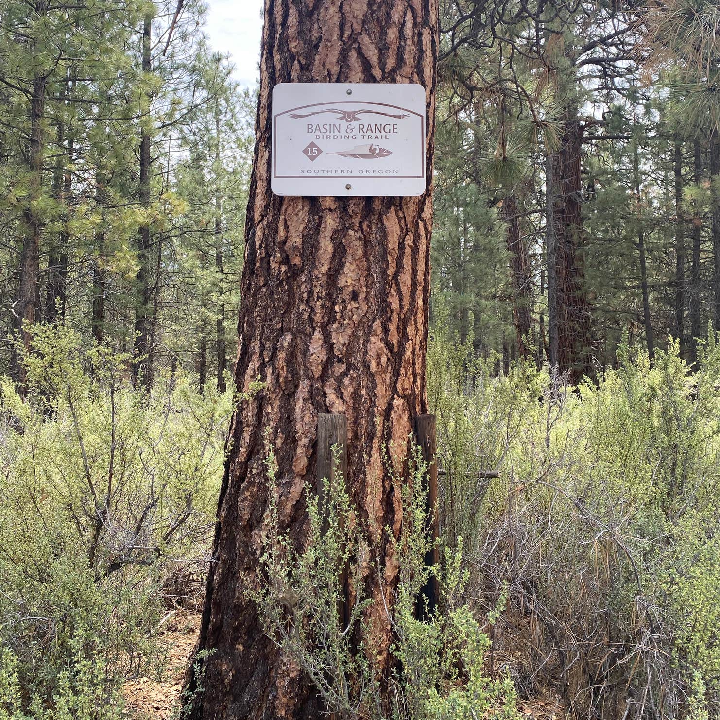 Silver Creek Marsh Camping | Silver Lake, OR