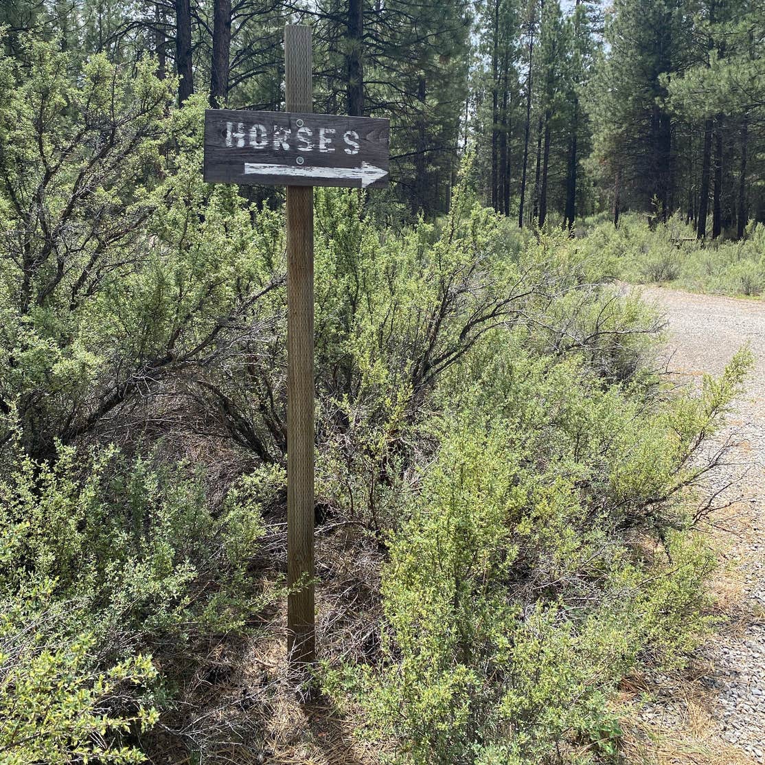 Silver Creek Marsh Camping | Silver Lake, Oregon