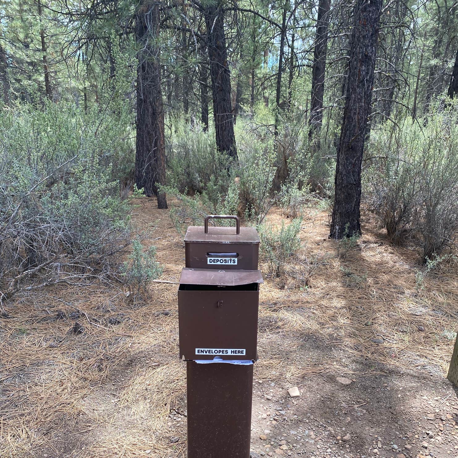 Silver Creek Marsh Camping | Silver Lake, OR